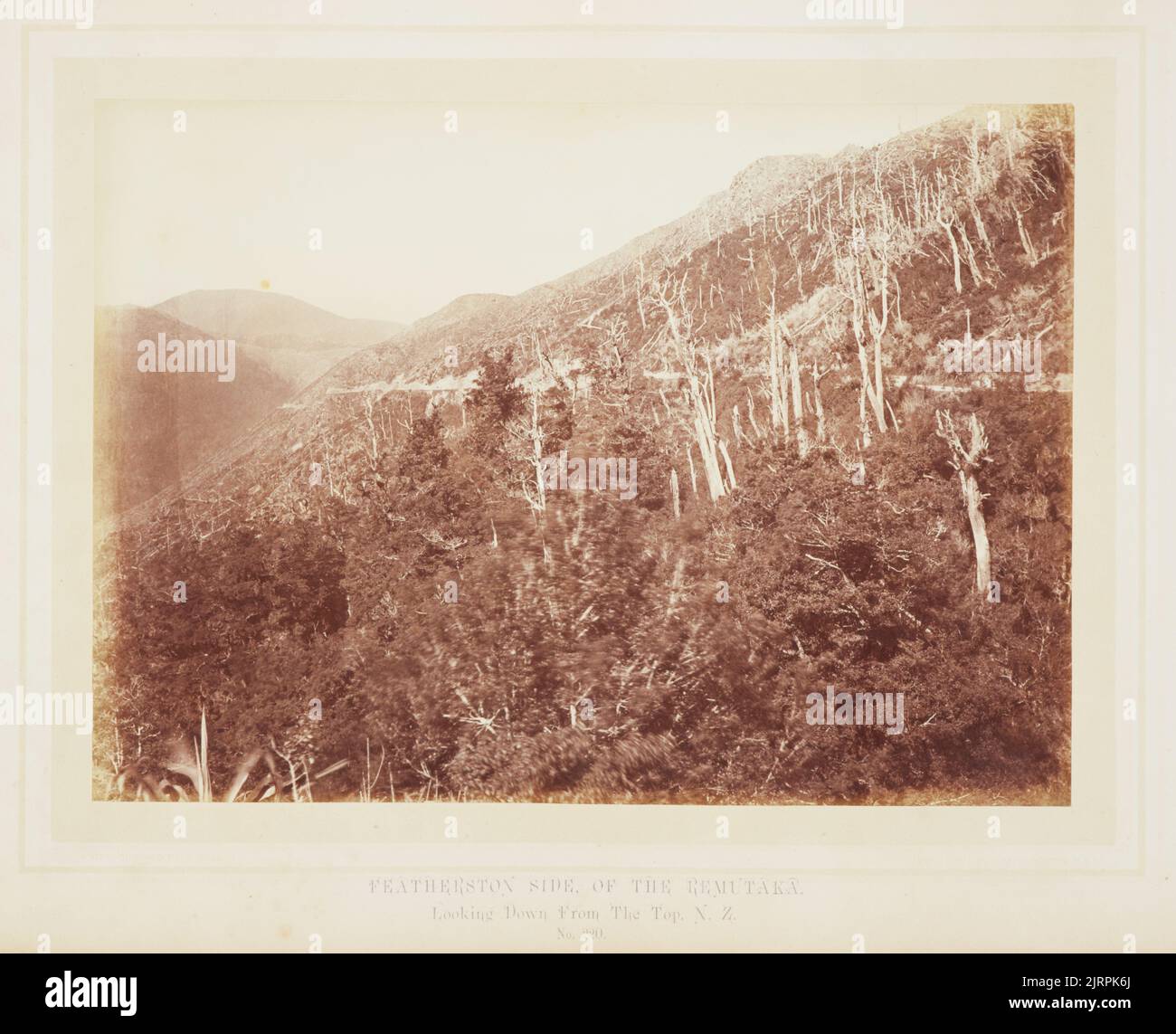 Featherston side of the Remutaka [Rimutaka] Hill looking down from the ...