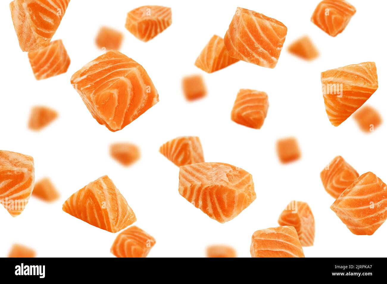 Falling raw salmon, fish isolated on white background, selective focus ...