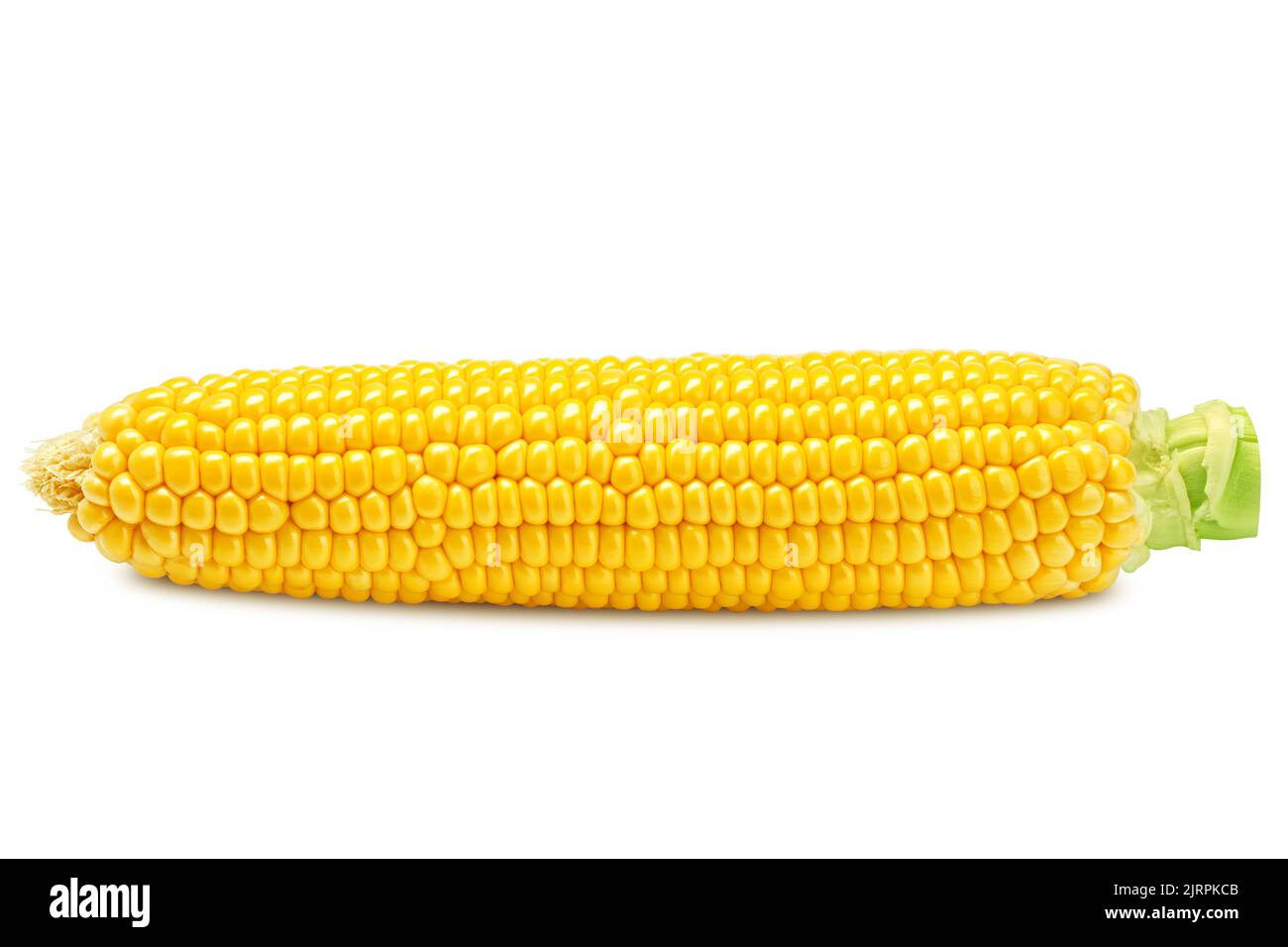 corn ear, isolated on white background, clipping path, full depth of ...