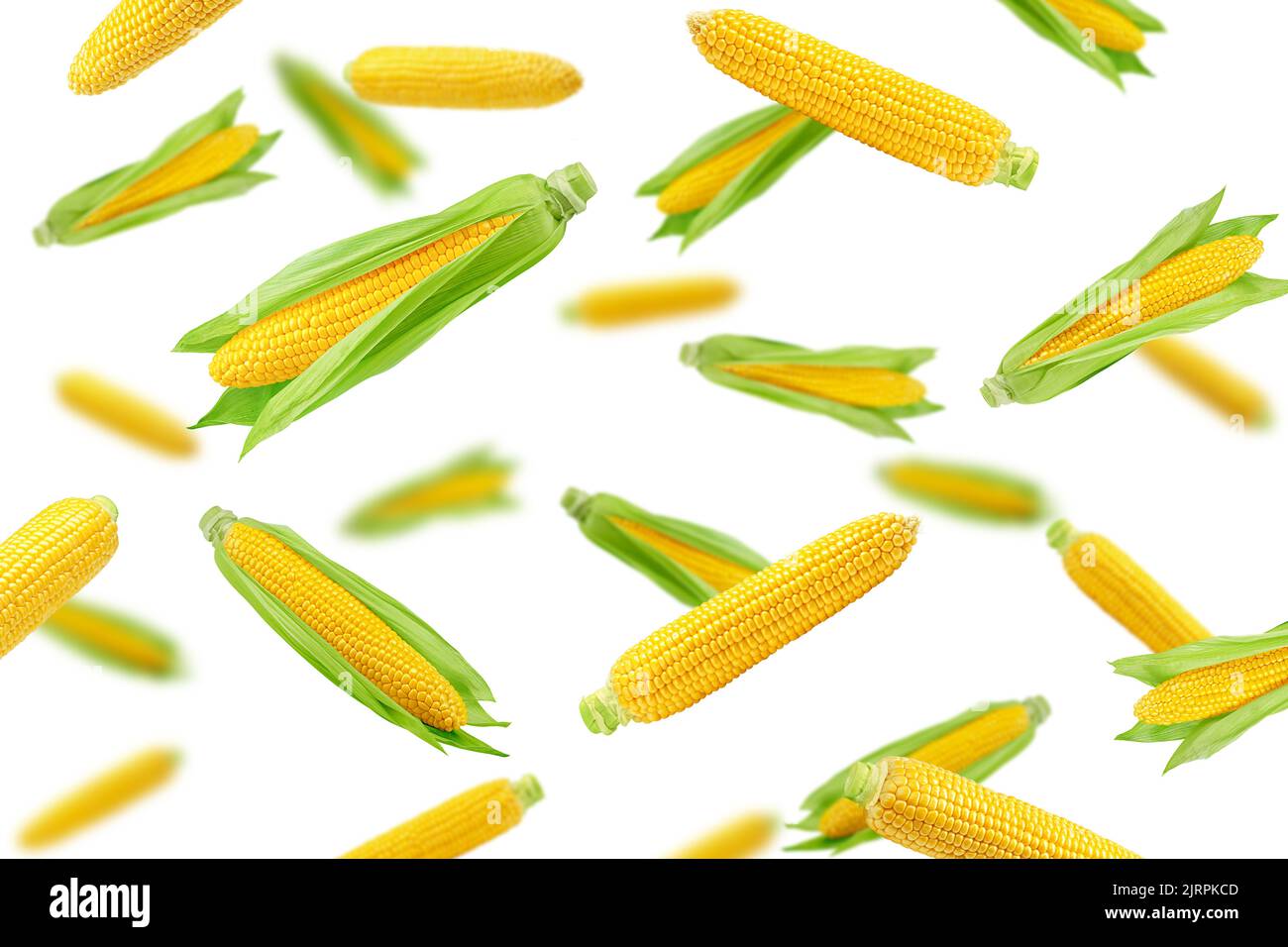 Falling corn ear, isolated on white background, selective focus Stock ...