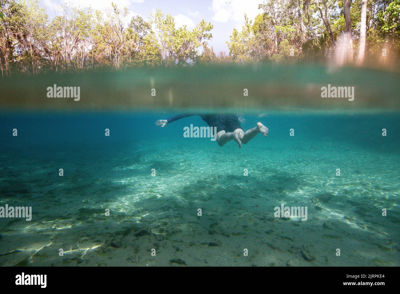 Young woman snorkling underwater in Three Sisters Spring Stock Photo ...