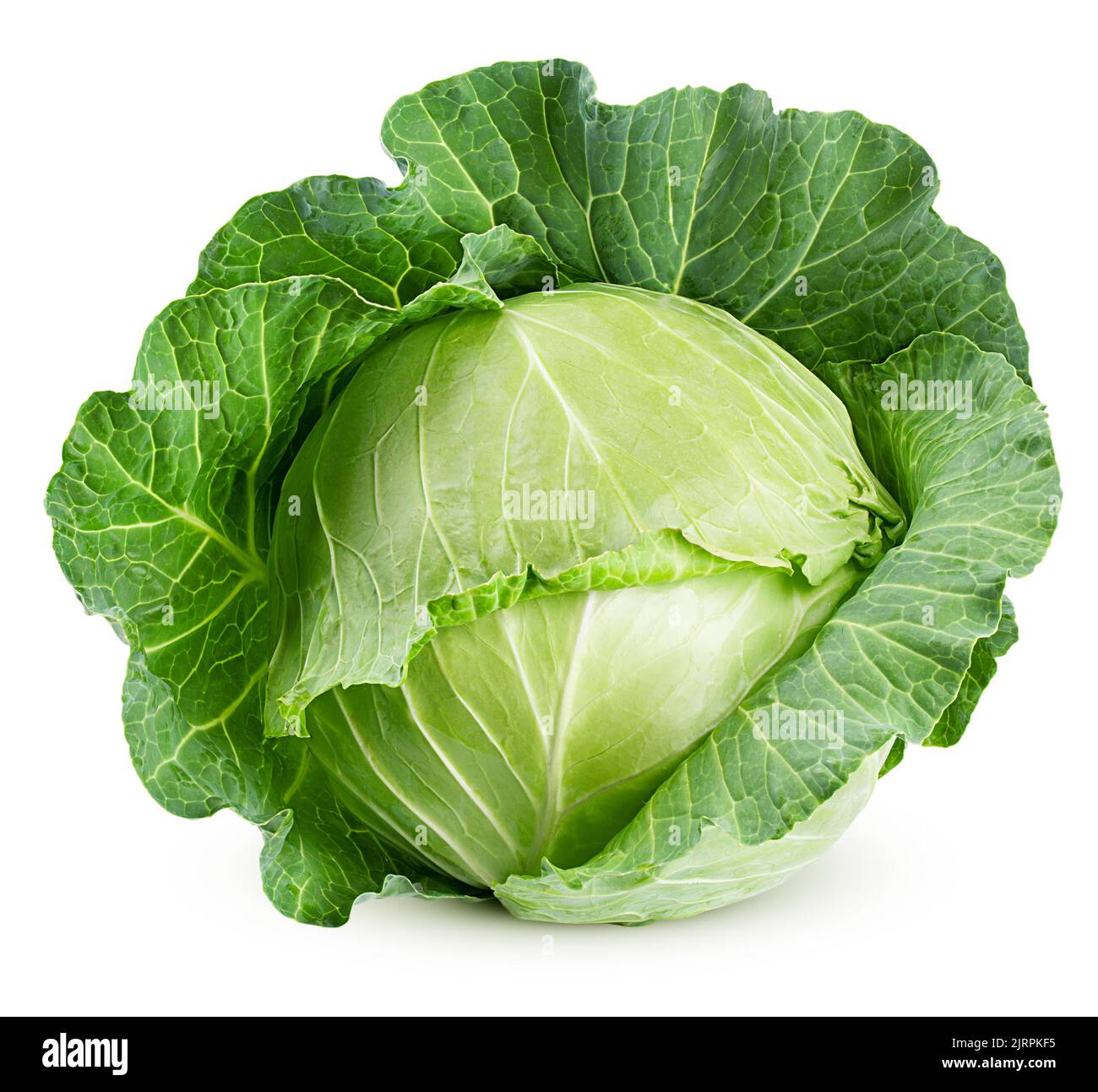 cabbage isolated on white background, clipping path, full depth of ...