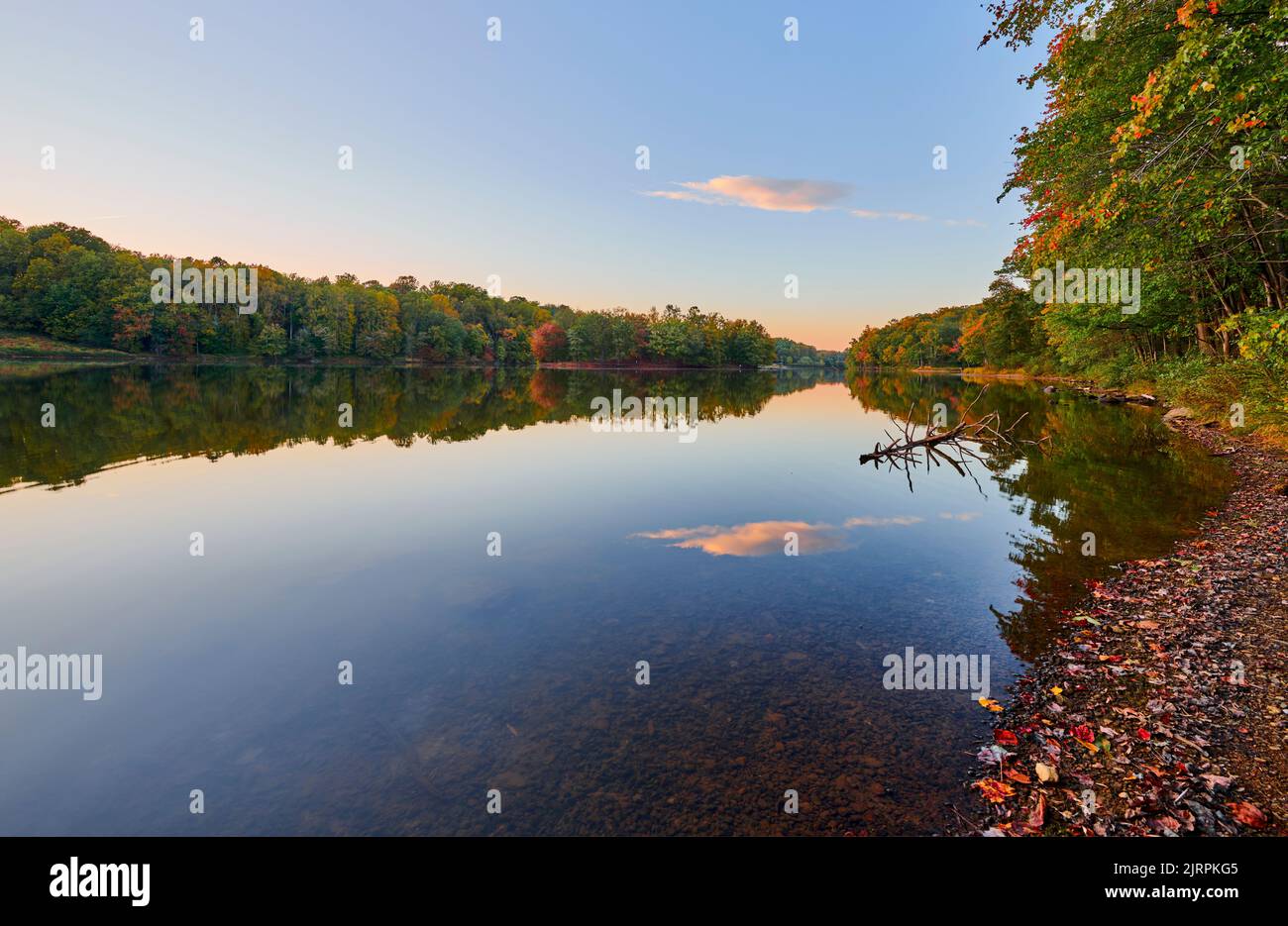 Needwood forest hi-res stock photography and images - Alamy