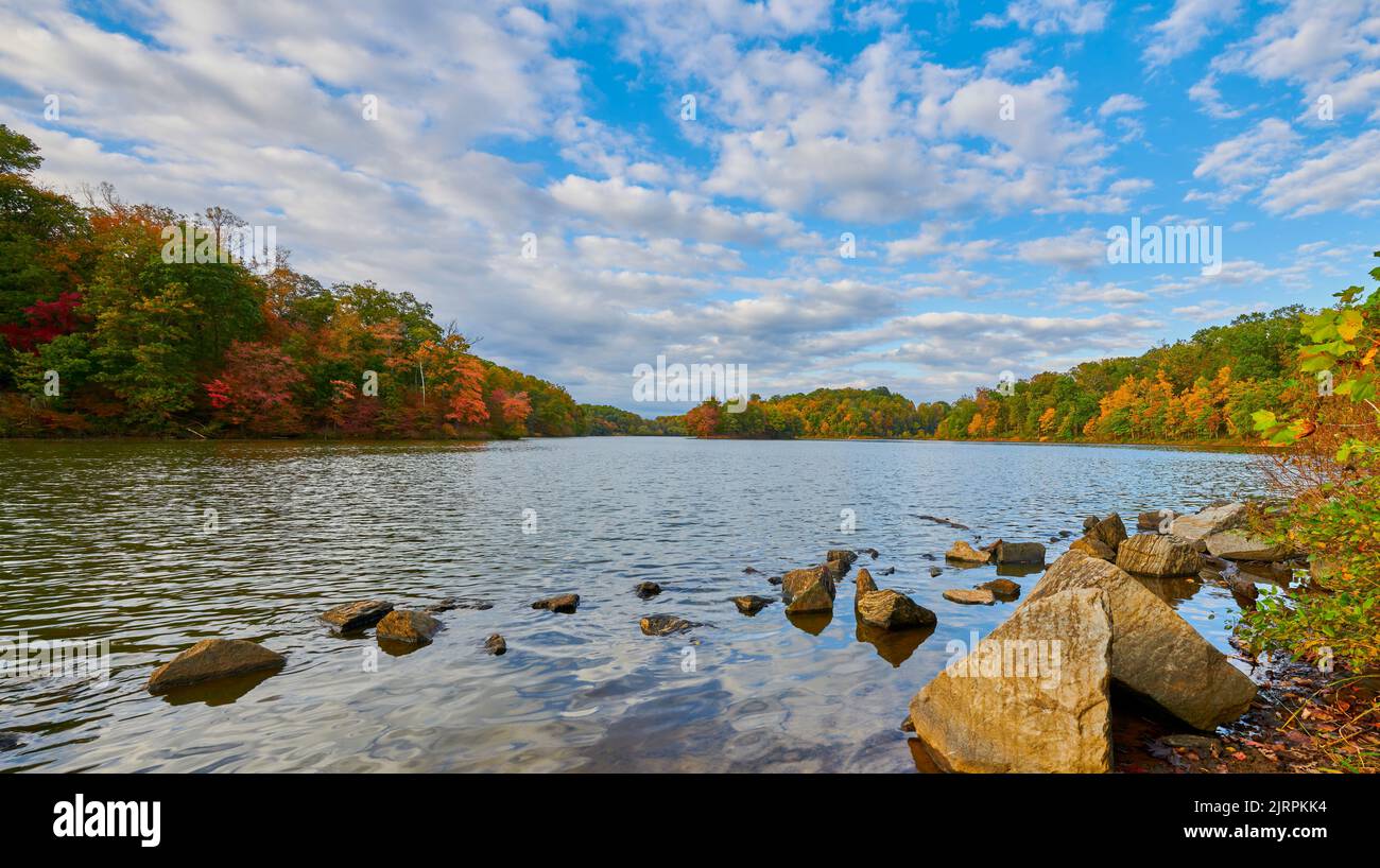 Needwood forest hi-res stock photography and images - Alamy