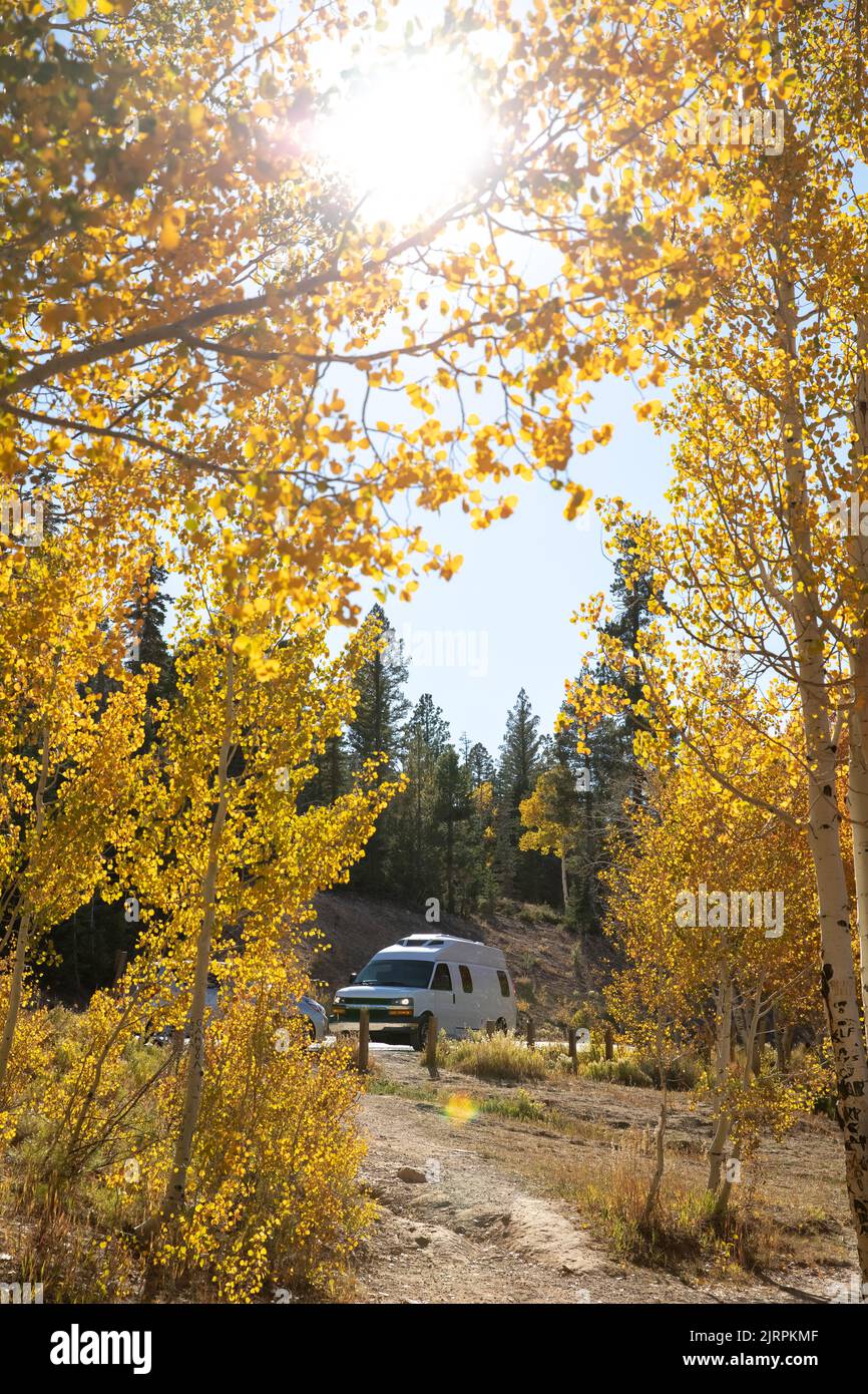 Sun through trees on camper van in Duck Creek Village in Utah Stock ...