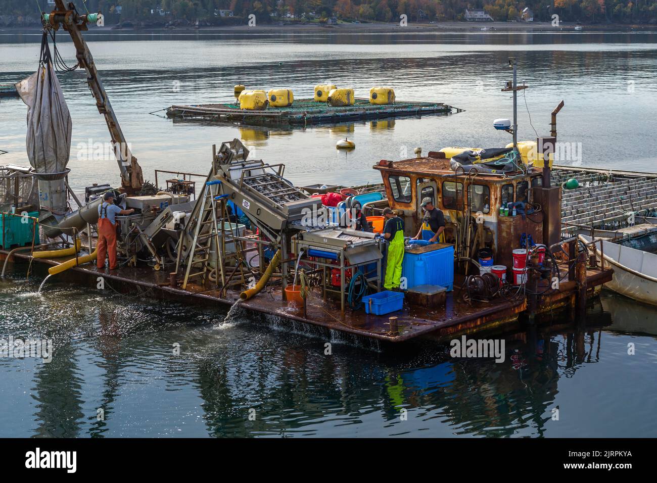 Aerial of mussel aquaculture hi-res stock photography and images - Alamy
