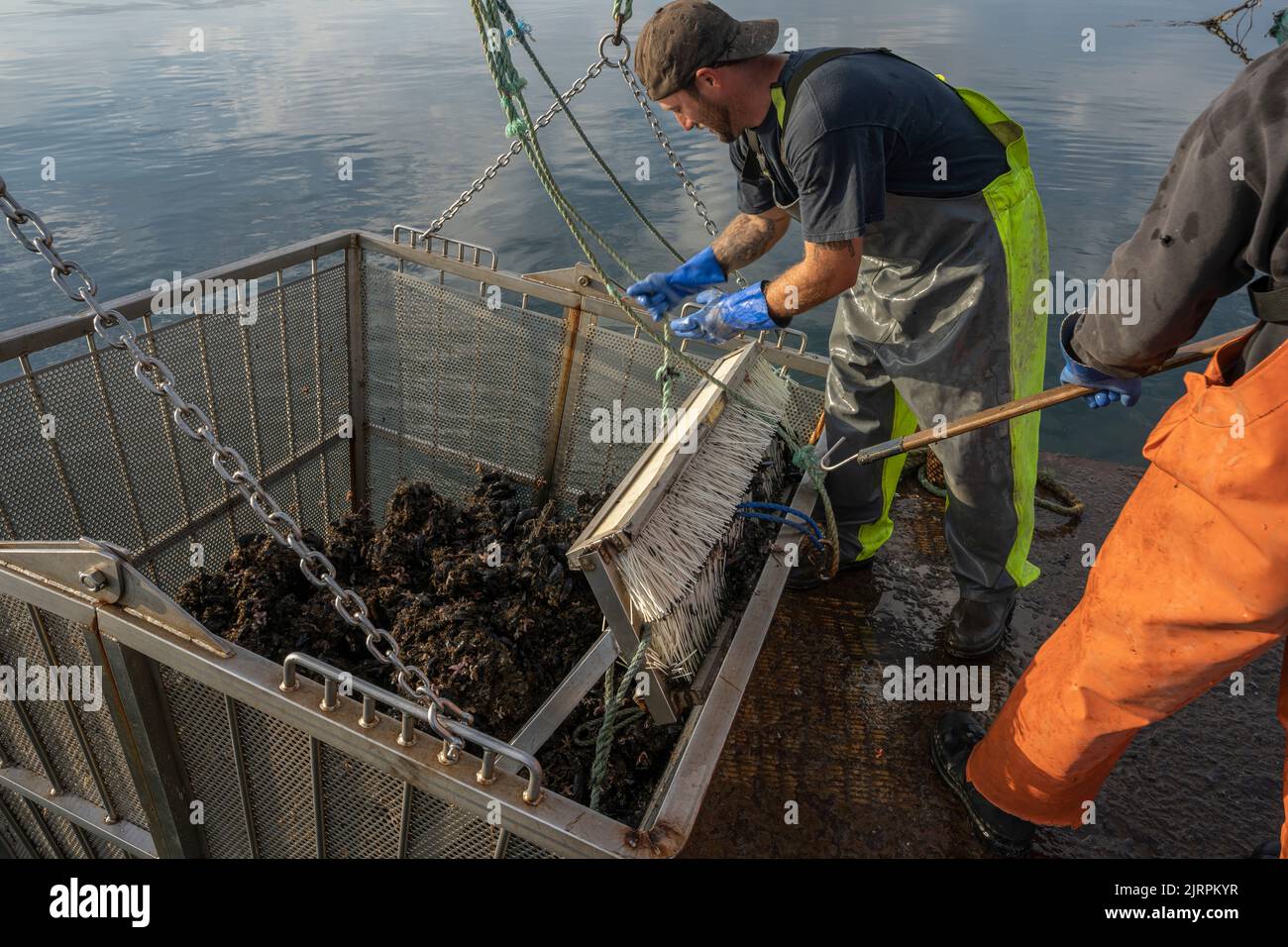 Mussel barge hi-res stock photography and images - Alamy