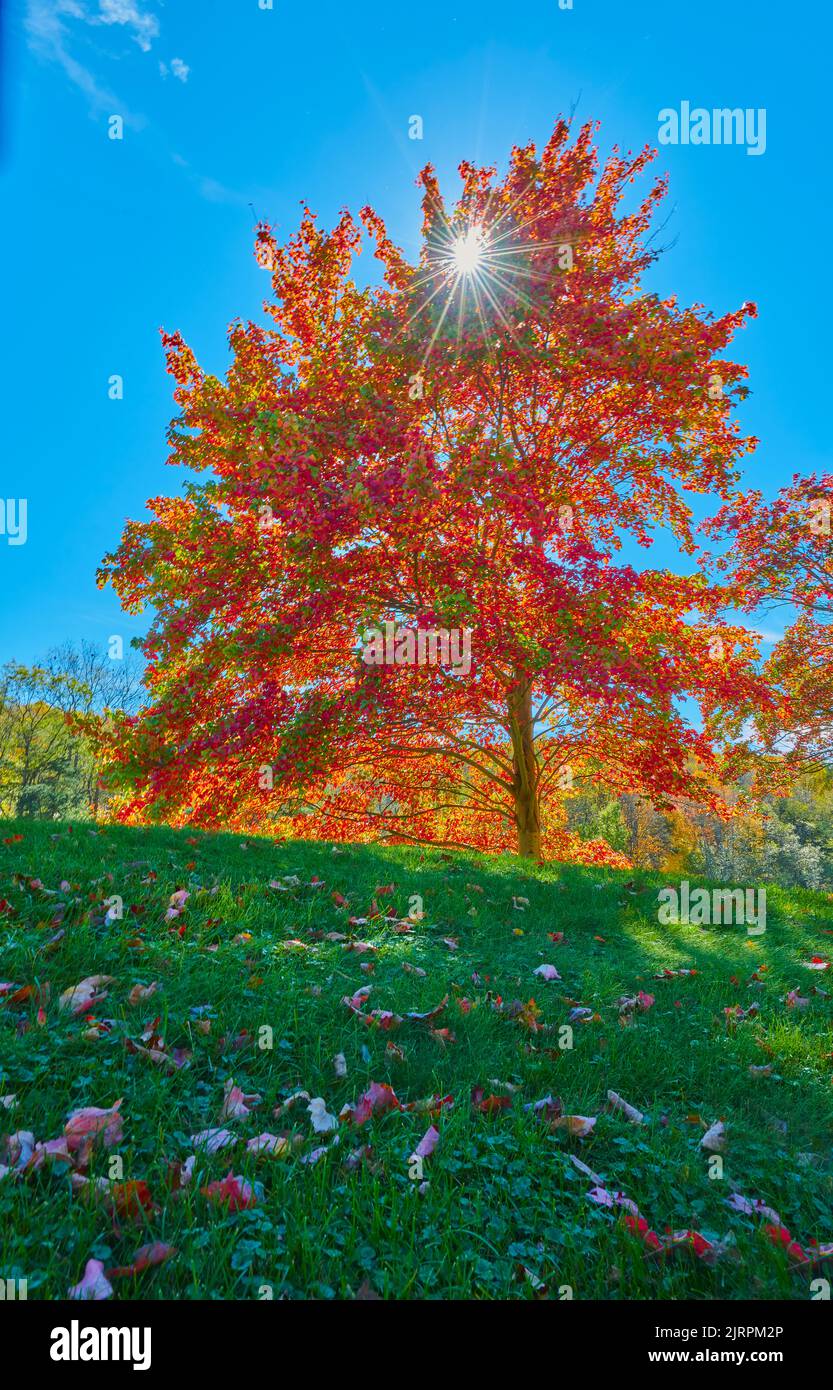 Sparkling colors hi-res stock photography and images - Alamy