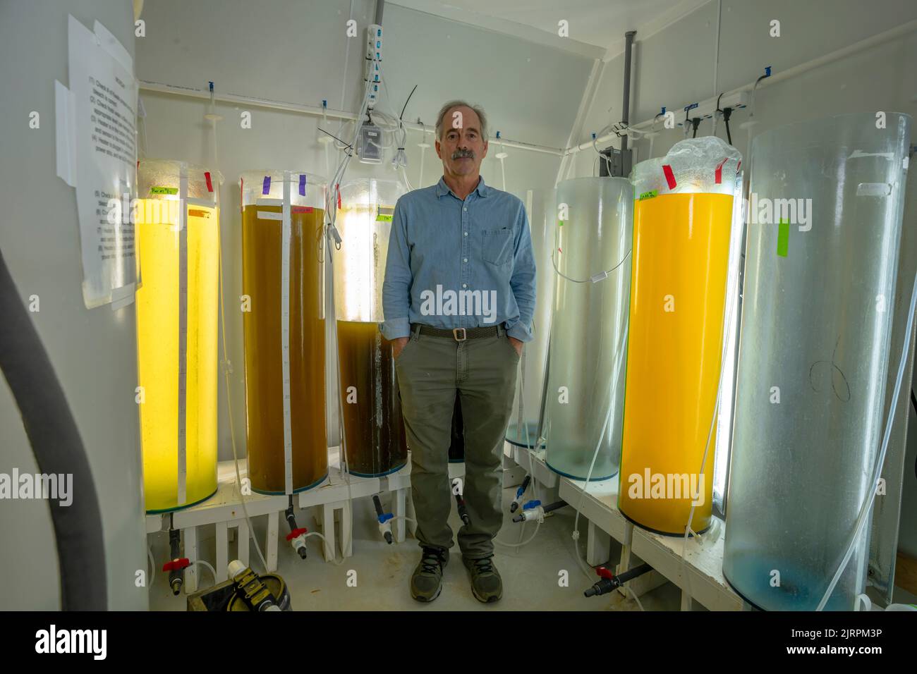 Algae Feed For Oysters, Bill Mook Sea Farm, Walpole, Maine Stock Photo ...