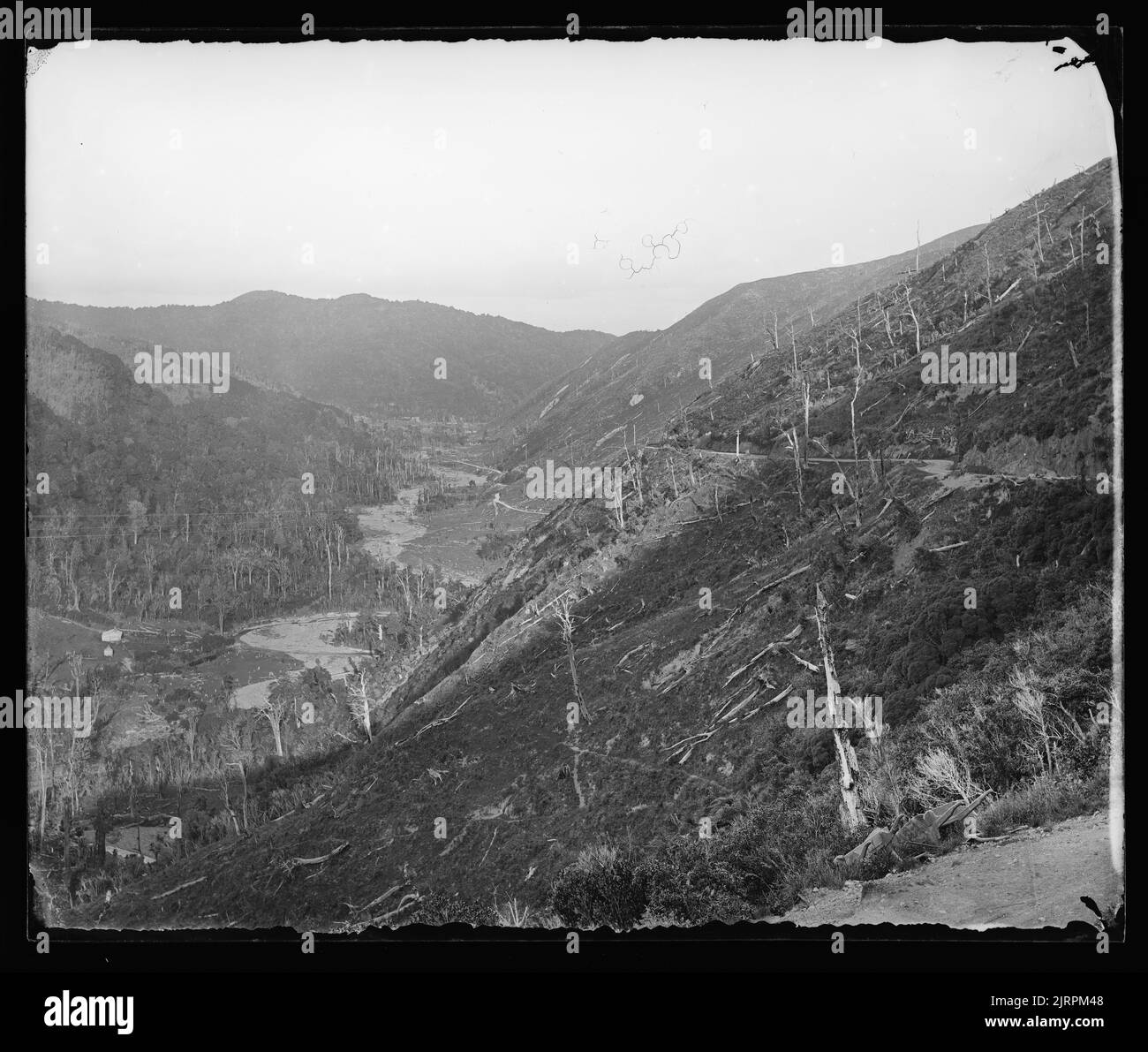 Remutaka [Rimutaka] Hill from the Roadman's Hut, looking down on the ...