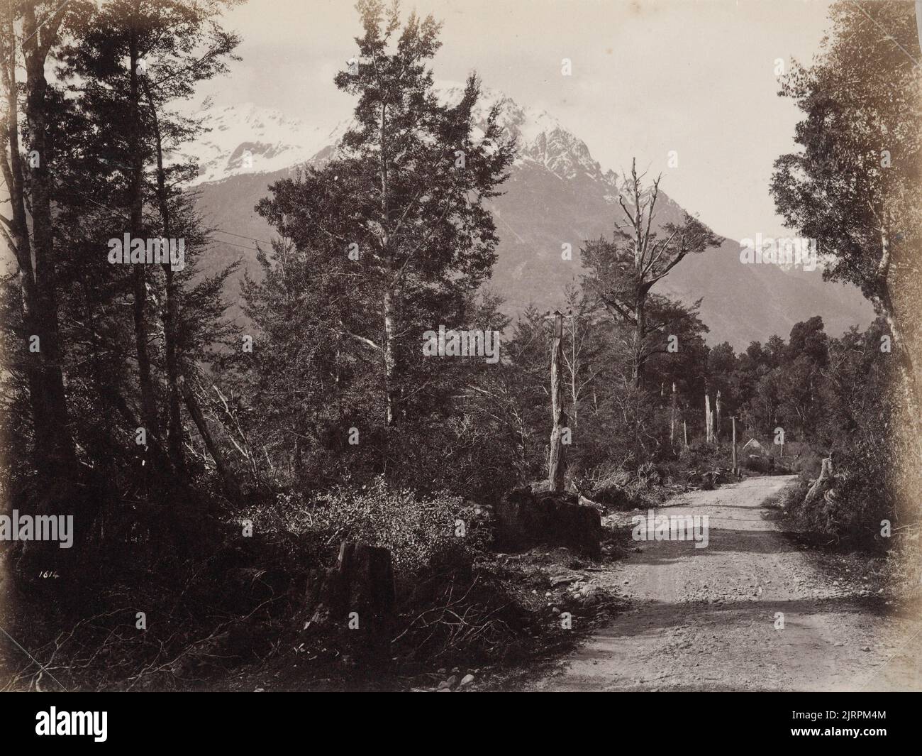 Mount alexander hi-res stock photography and images - Alamy