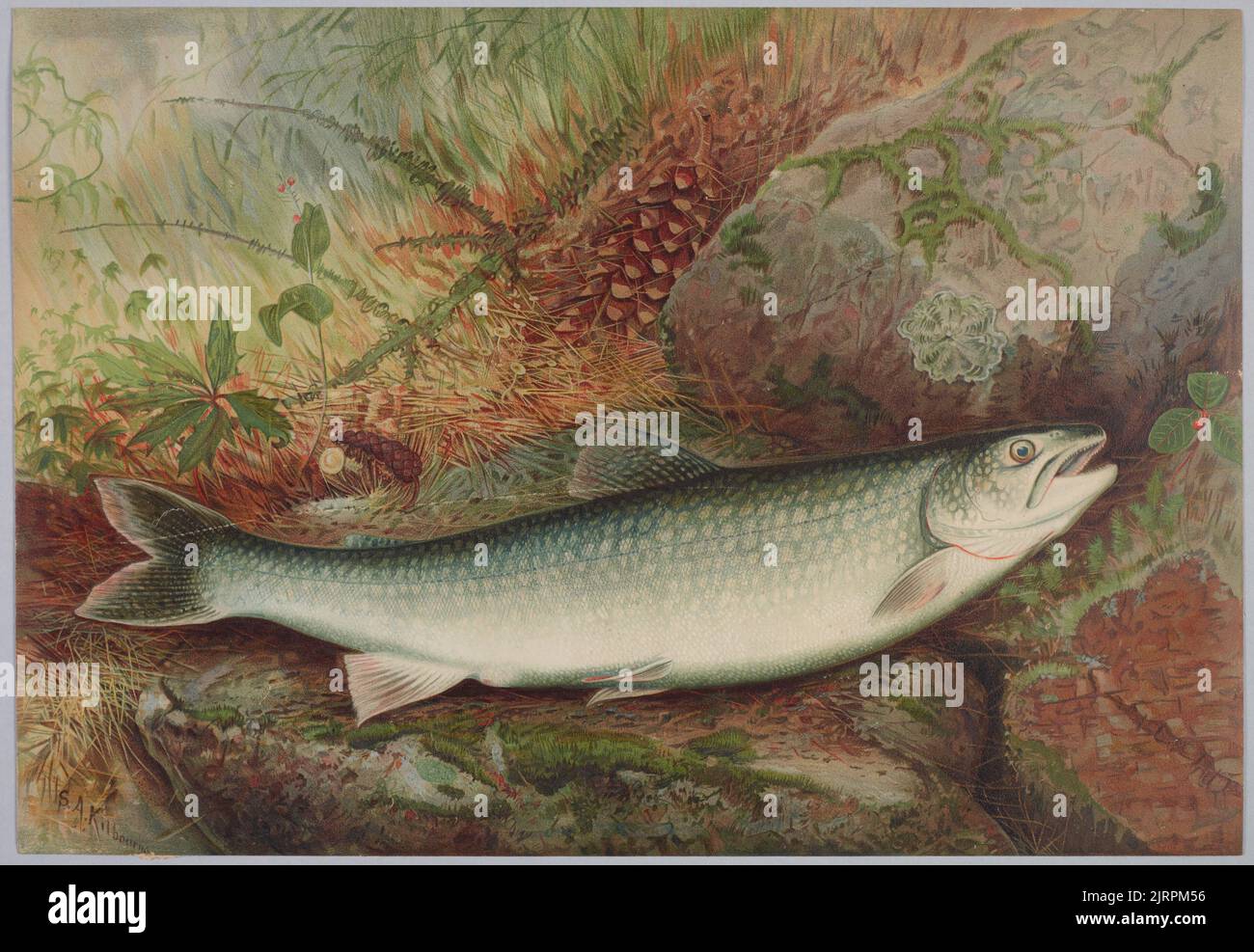 Samuel kilbourne hi-res stock photography and images - Alamy