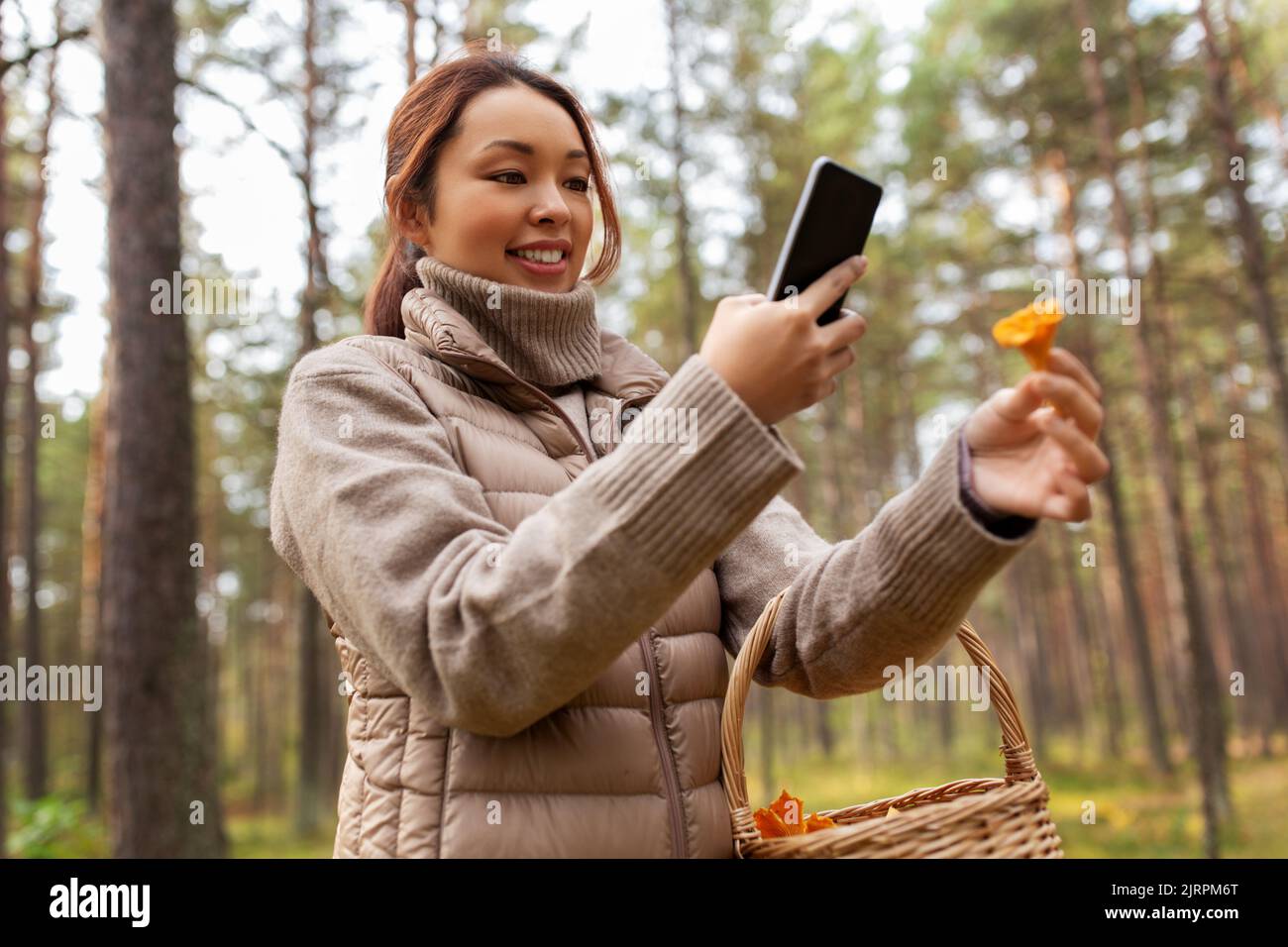 asian woman using smartphone to identify mushroom Stock Photo - Alamy