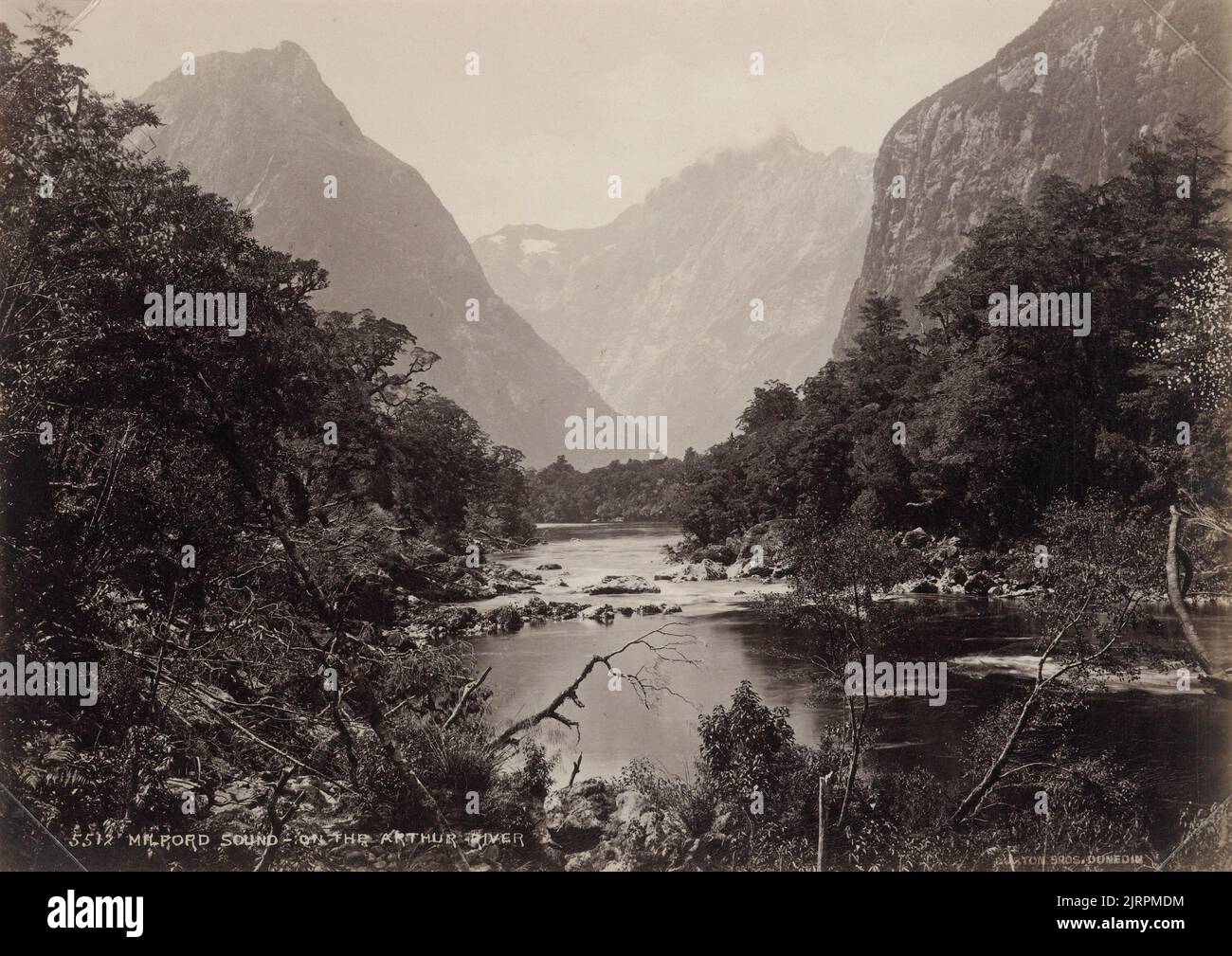 On the Arthur River, 1893, Milford Sound, by Burton Brothers Stock ...