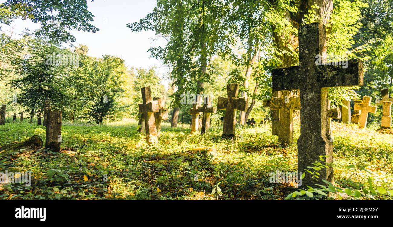 Cross-shaped weathered gravestones scattered around lush green forest ...