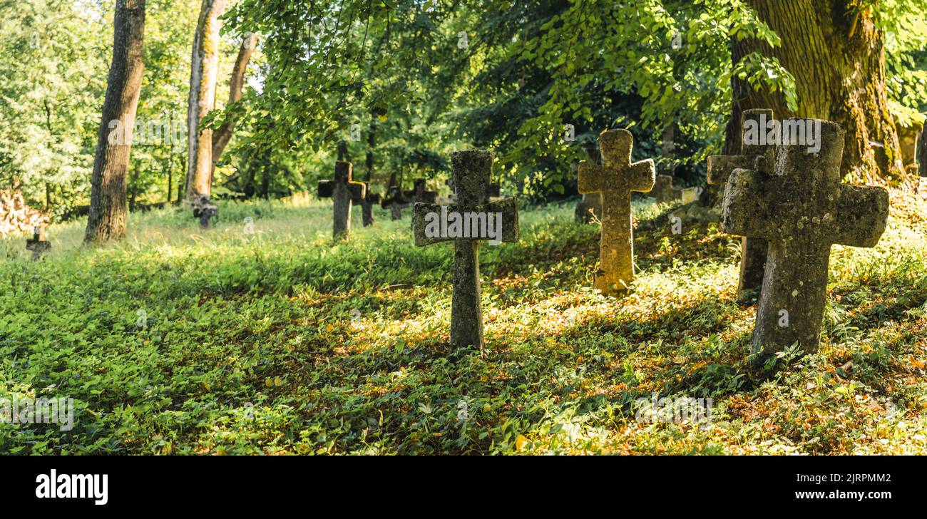 Cross-shaped moss-covered gravestones in tall grass. Lush trees bushes ...