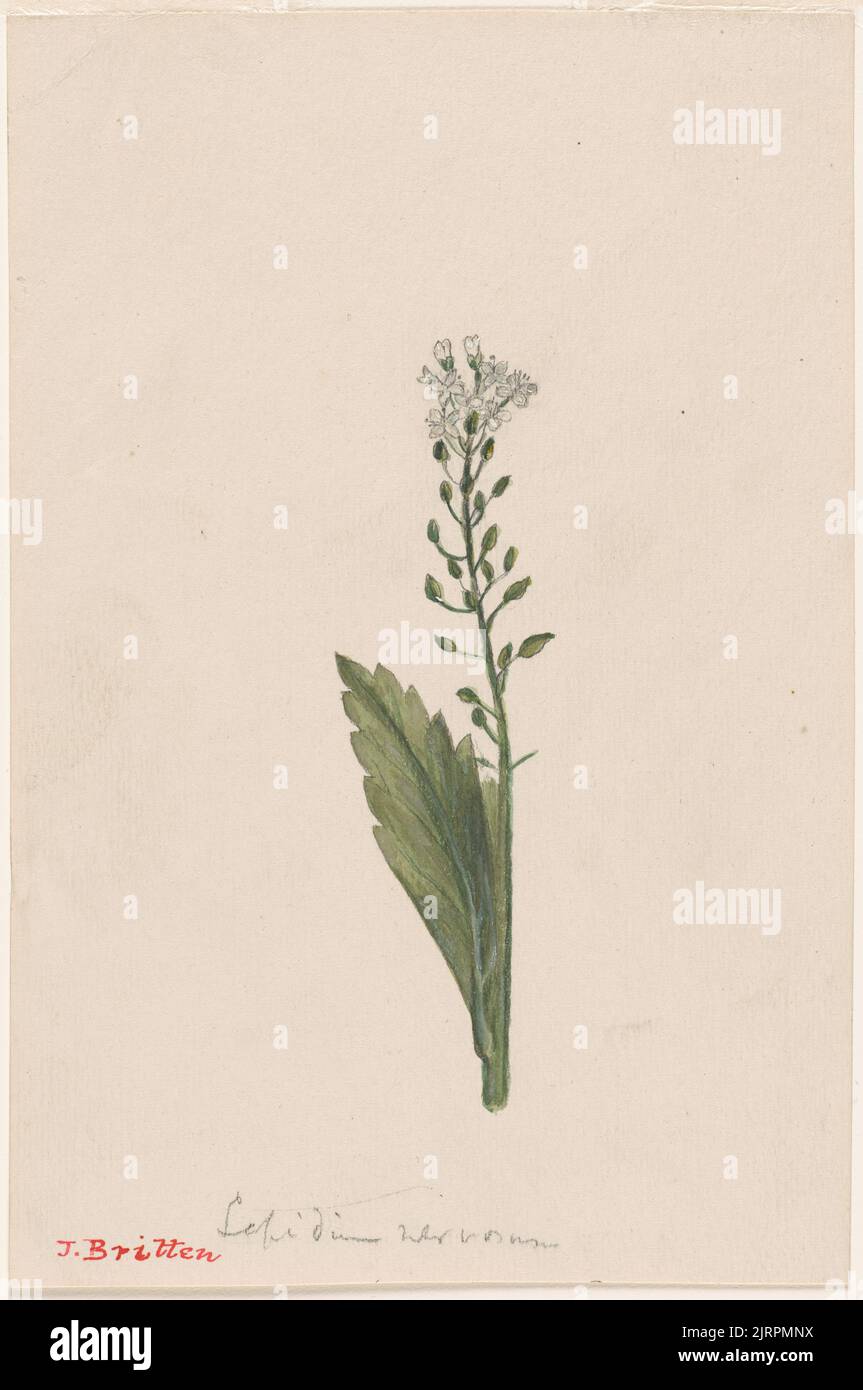 James britten hi-res stock photography and images - Alamy