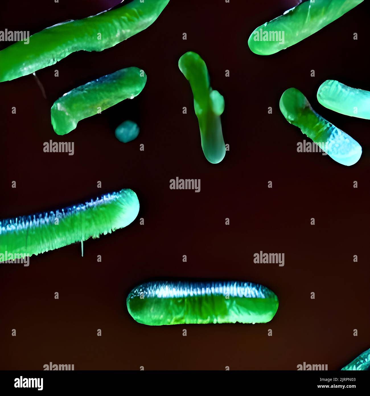 Scientific image of bacteria Citrobacter. 3D illustration Stock Photo ...