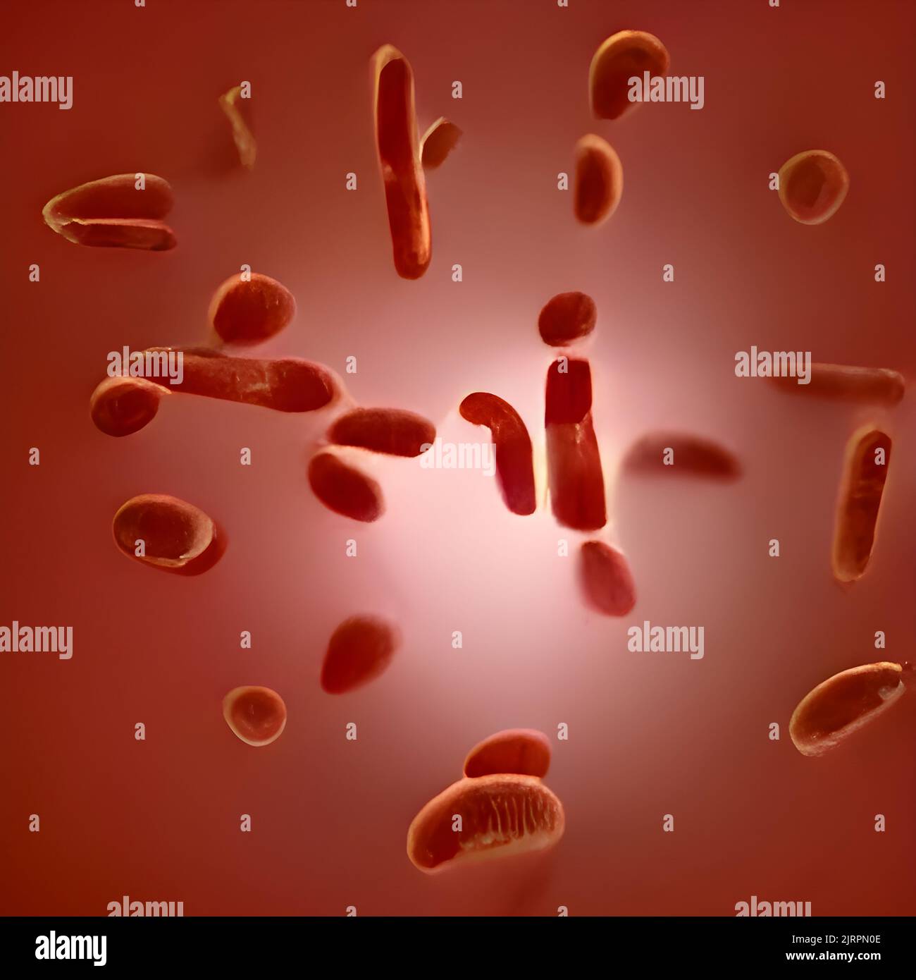 Scientific image of bacteria Citrobacter. 3D illustration Stock Photo ...