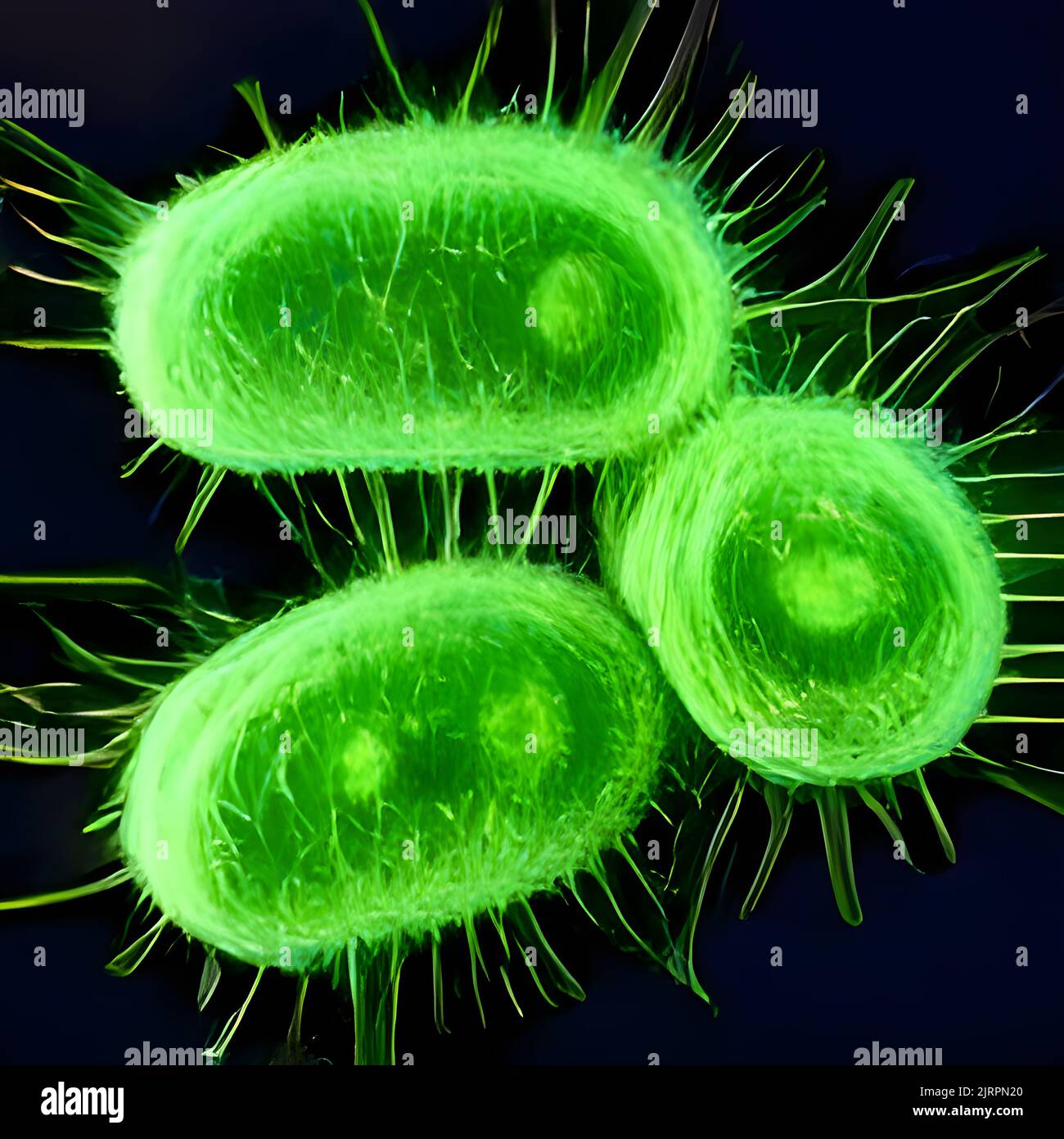 Microscopic view of bacteria. 3d illustration Stock Photo - Alamy