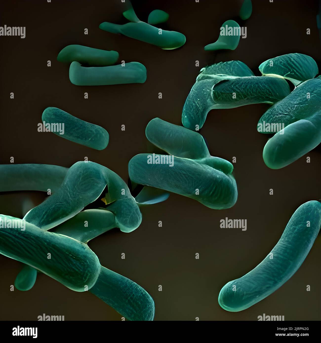 Microscopic view of bacteria. 3d illustration Stock Photo - Alamy