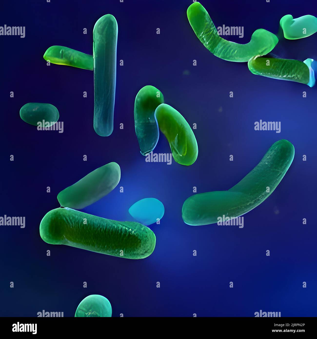 Bacteria Lactobacillus, 3D illustration. lactic acid bacteria Stock ...