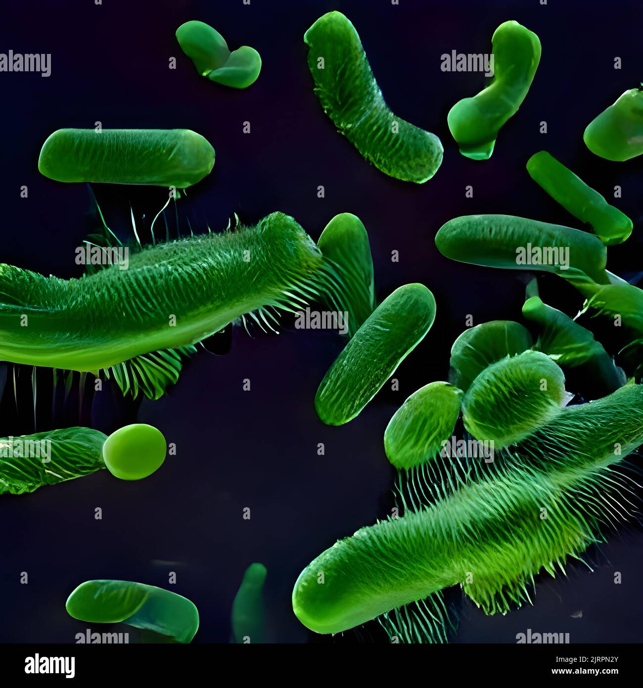Microscopic view of bacteria. 3d illustration Stock Photo - Alamy