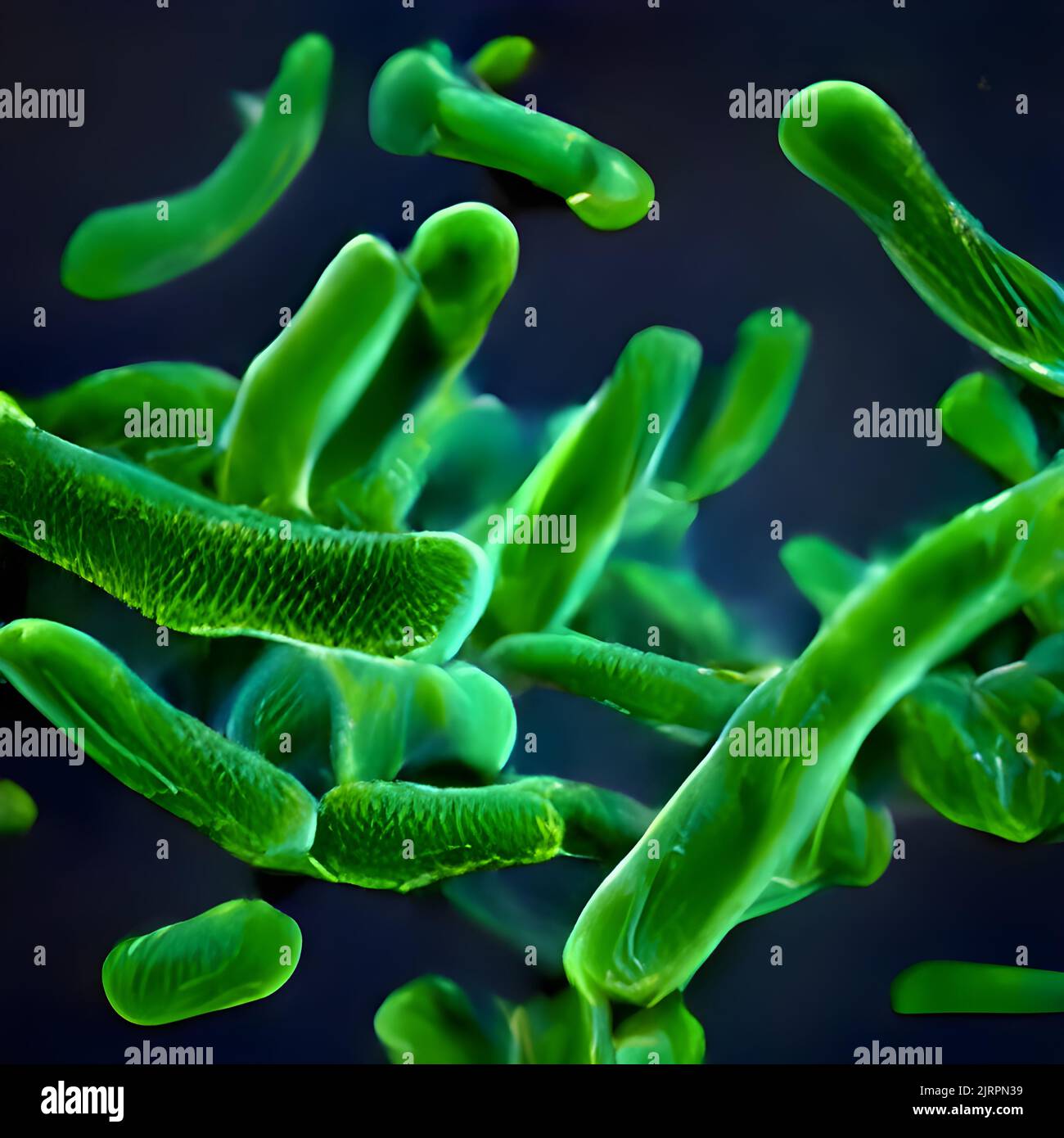 Bacteria outbreak and bacterial infection as a microscopic background ...