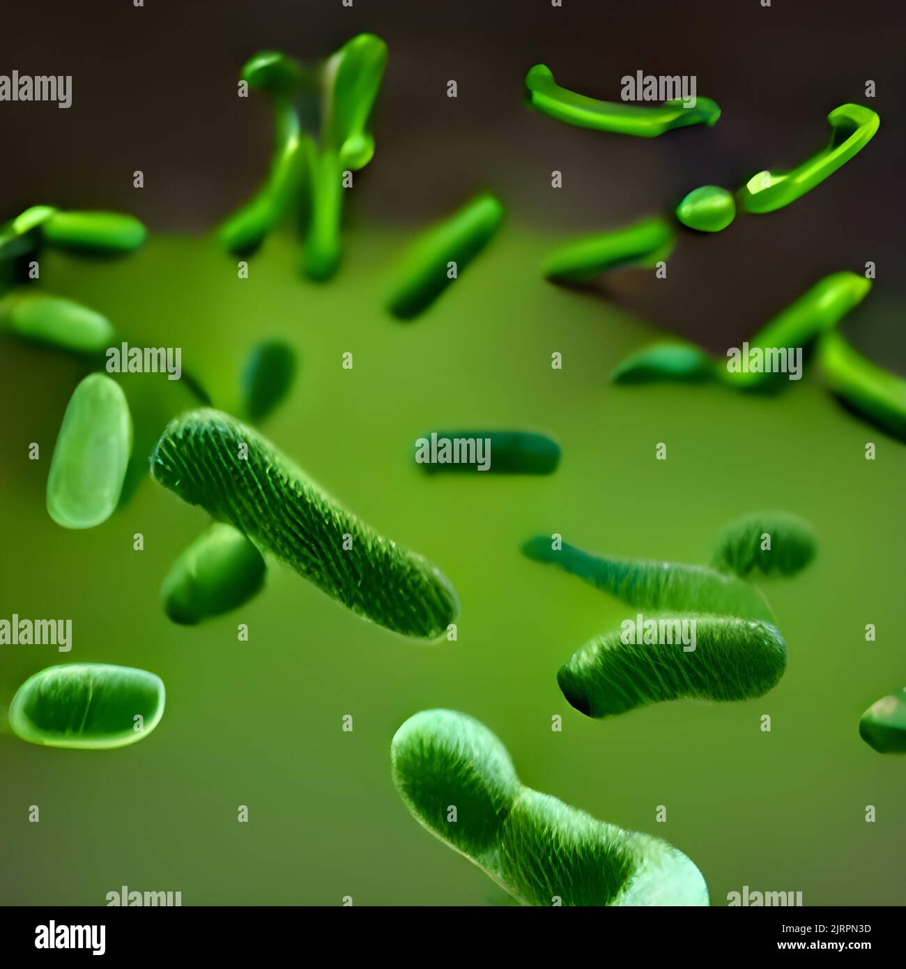 Microscopic view of bacteria. 3d illustration Stock Photo - Alamy