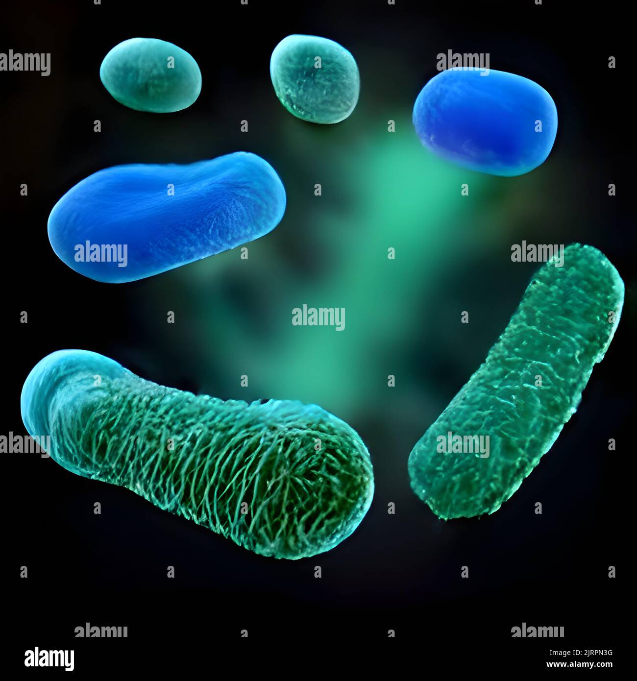 Bacteria Lactobacillus, 3D illustration. lactic acid bacteria Stock ...