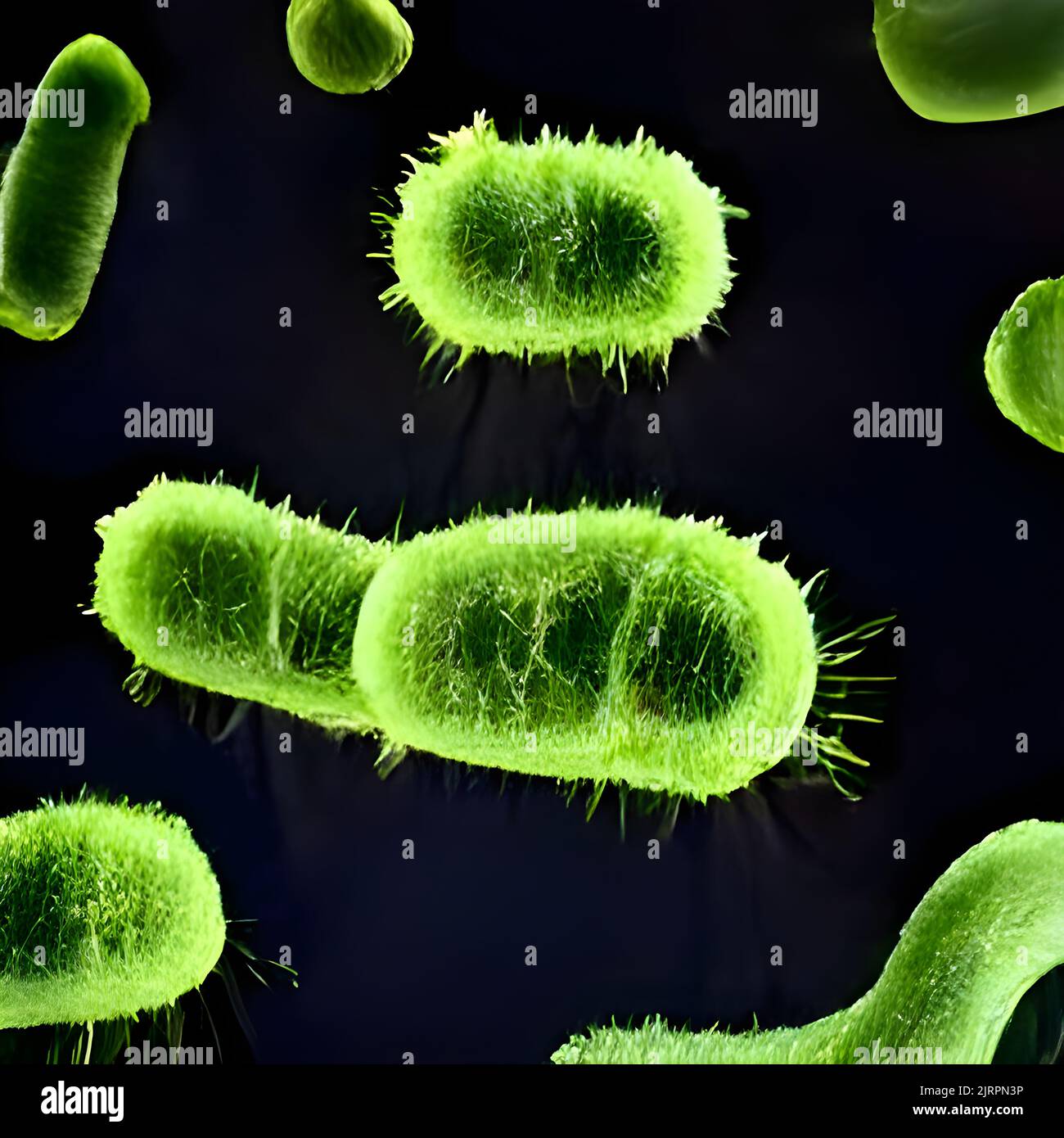 Bacteria outbreak and bacterial infection as a microscopic background ...