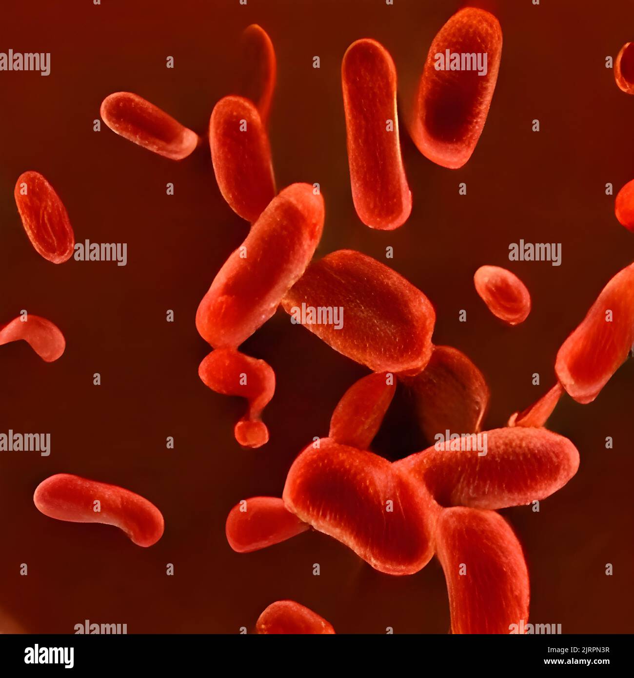 Bacteria Lactobacillus, 3D illustration. lactic acid bacteria Stock ...