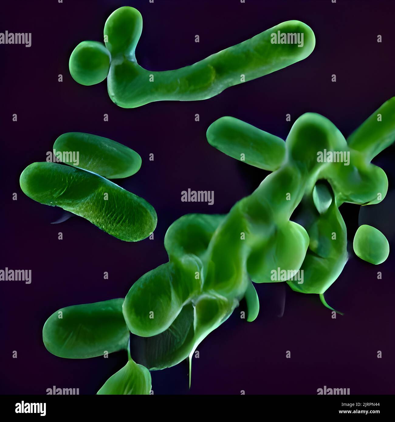 Bacteria outbreak and bacterial infection as a microscopic background ...