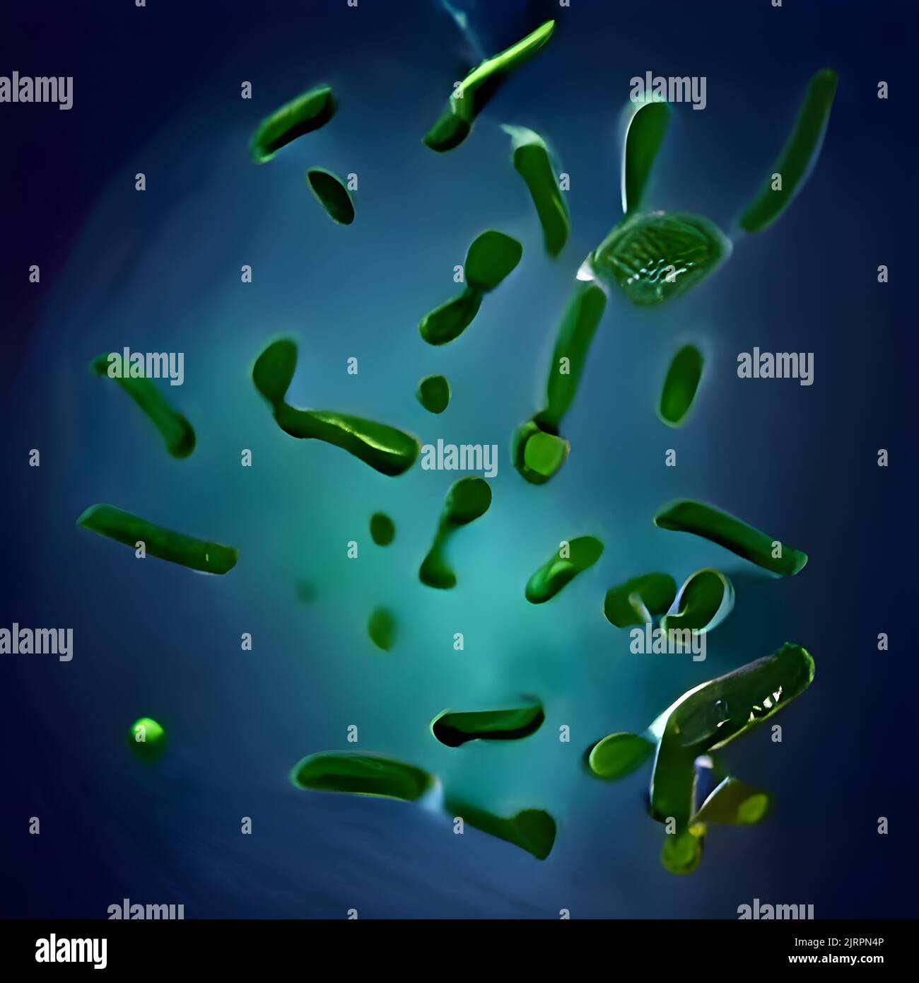 Microscopic view of bacteria. 3d illustration Stock Photo - Alamy