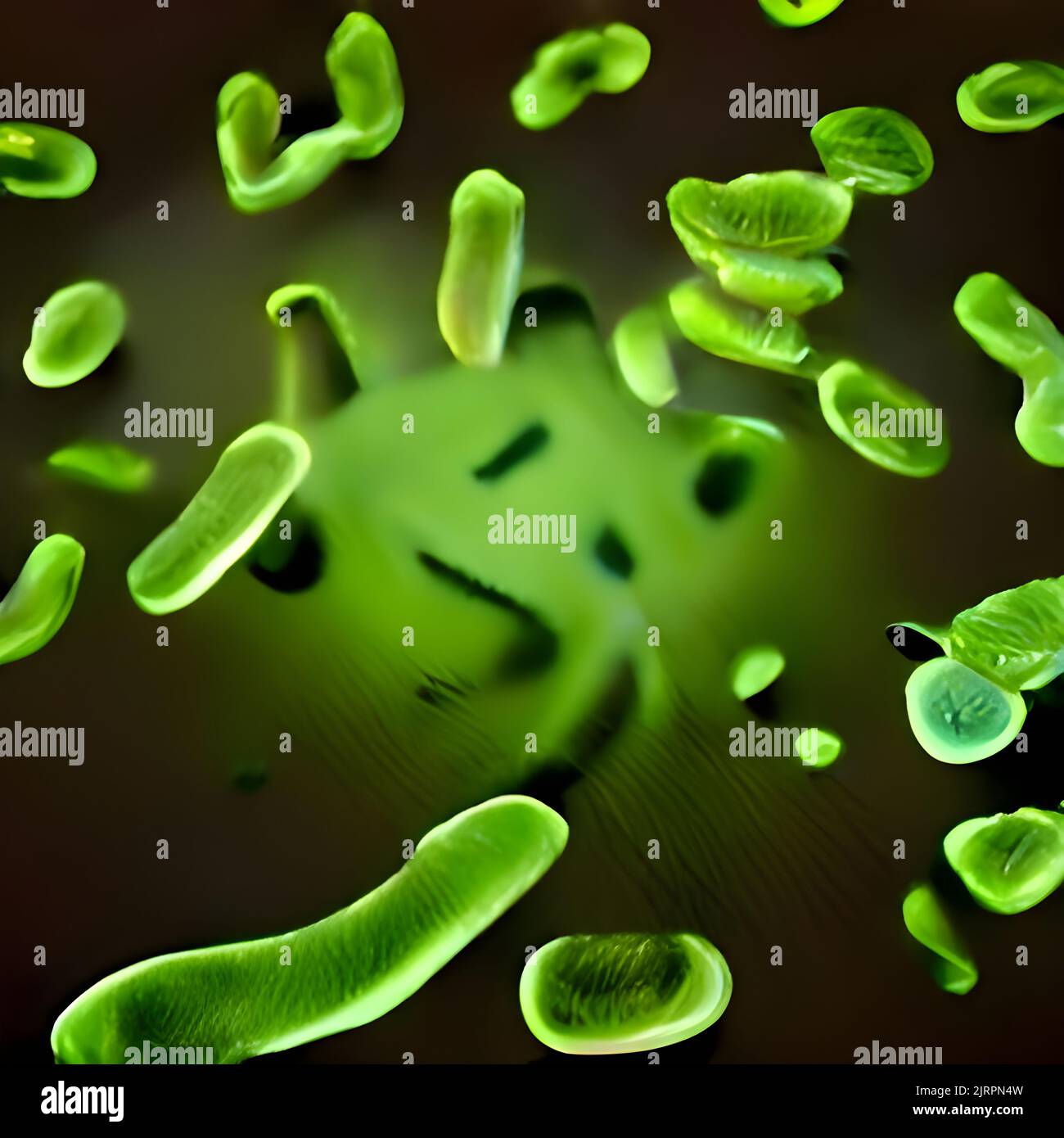Bacteria 3d hi-res stock photography and images - Alamy