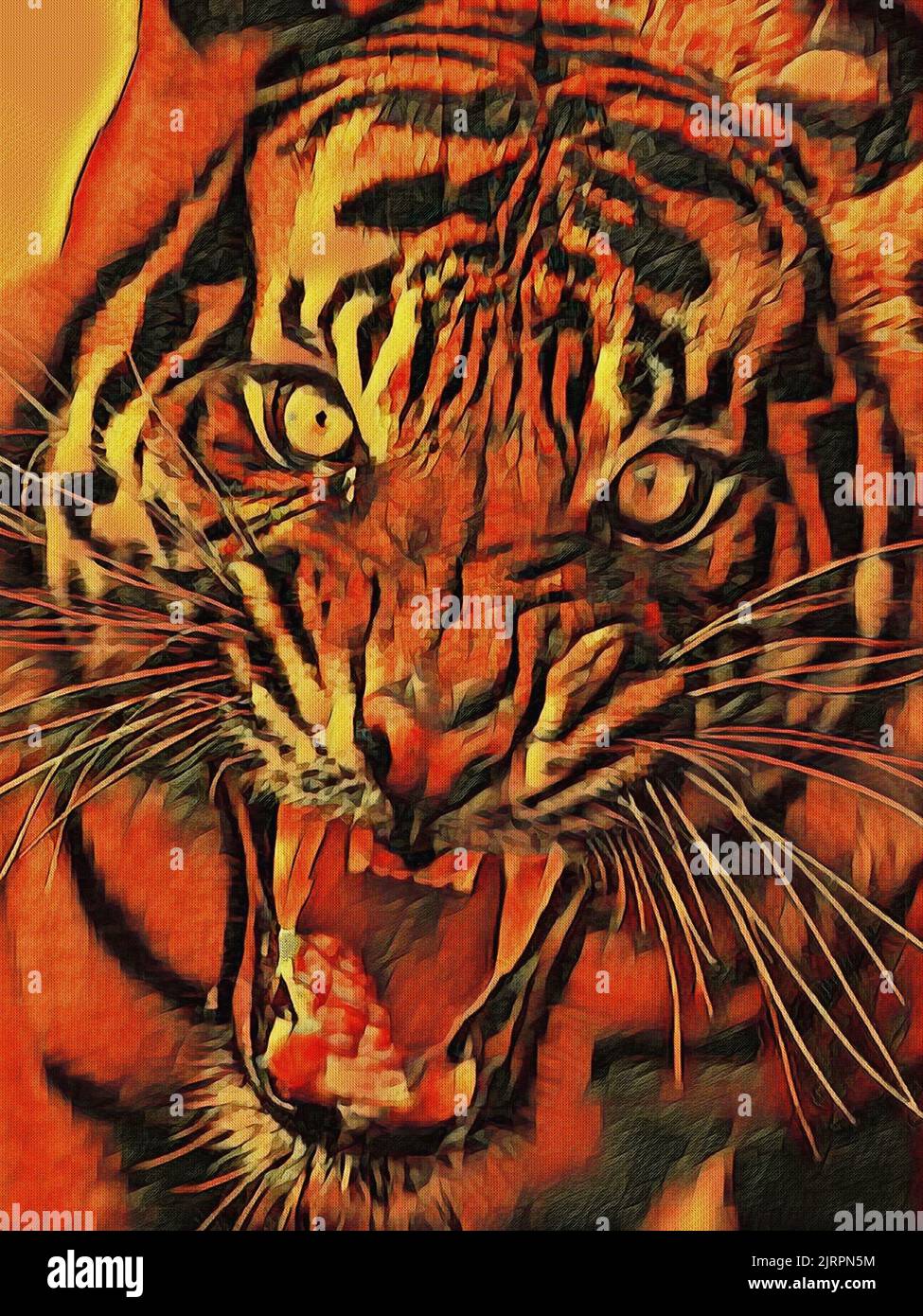 Big aggressive tiger, close-up. Artistic work on the theme of wild ...