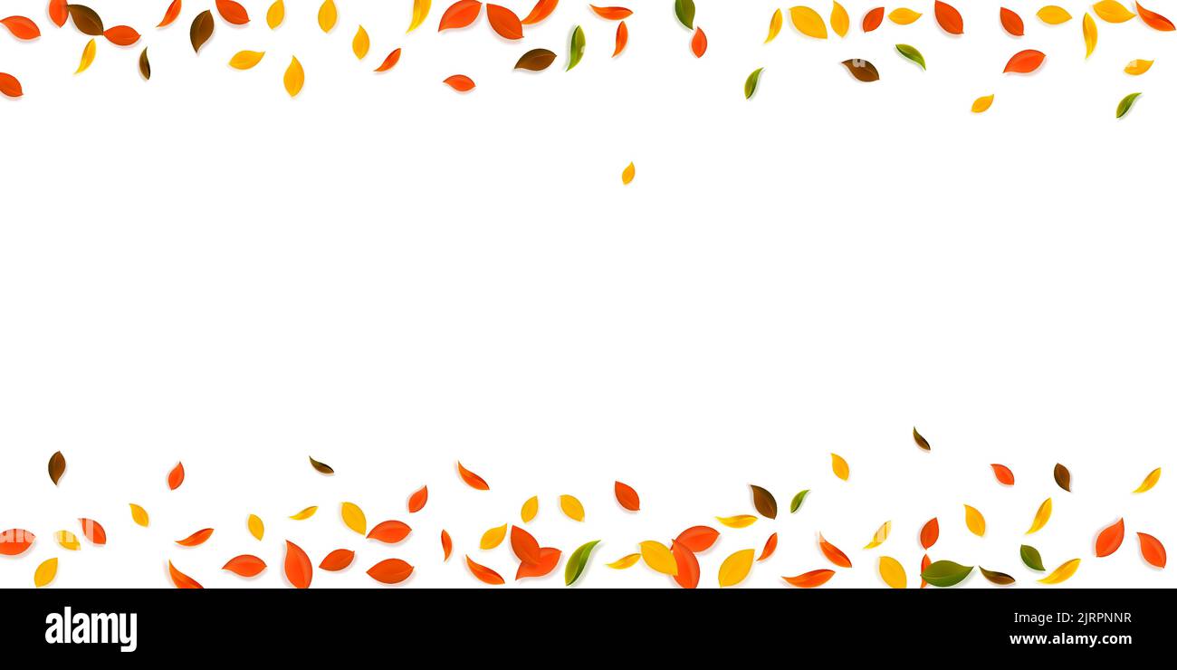 Falling autumn leaves. Red, yellow, green, brown chaotic leaves flying ...