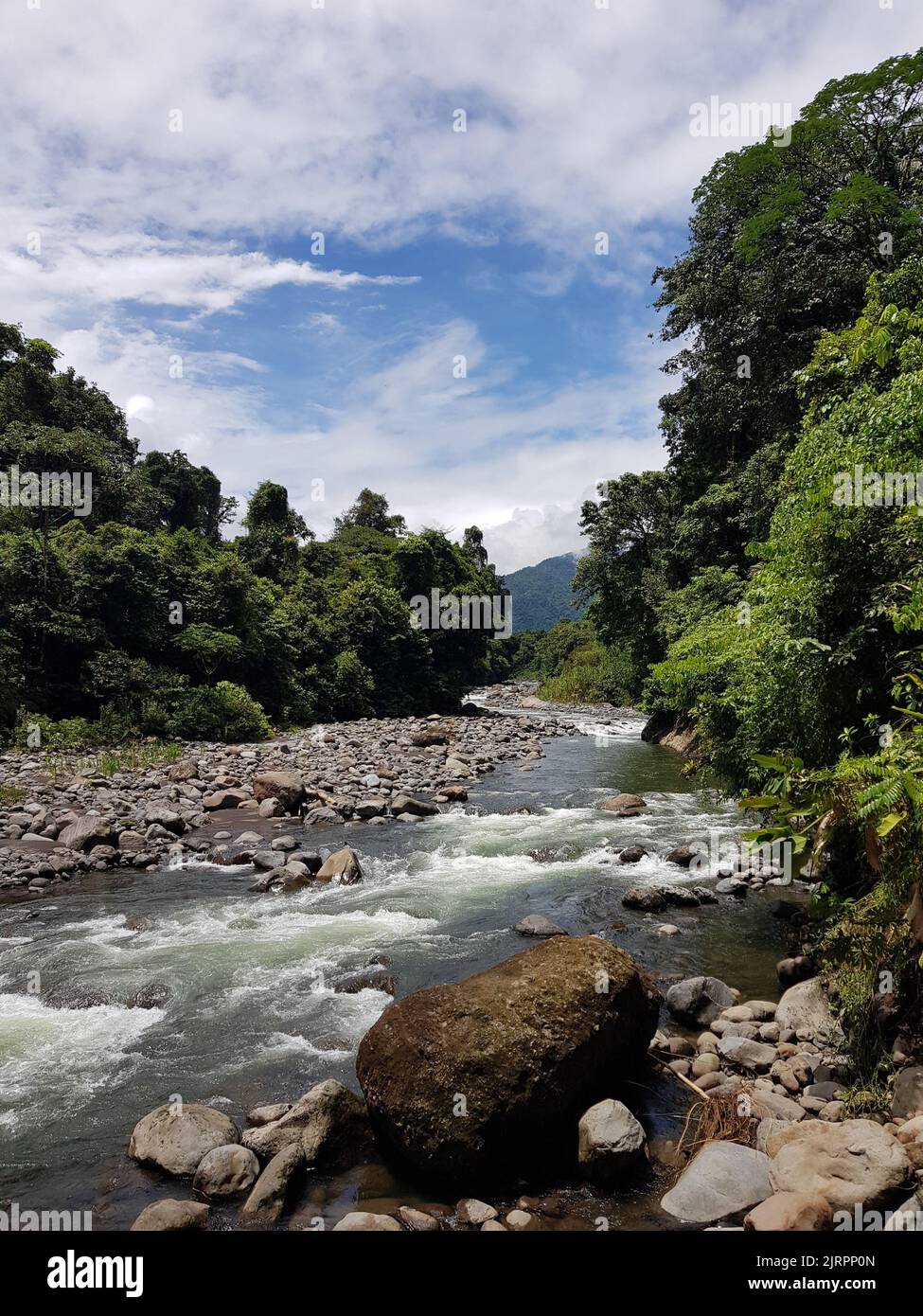 River in a rainforest in Costa Rica Stock Photo - Alamy