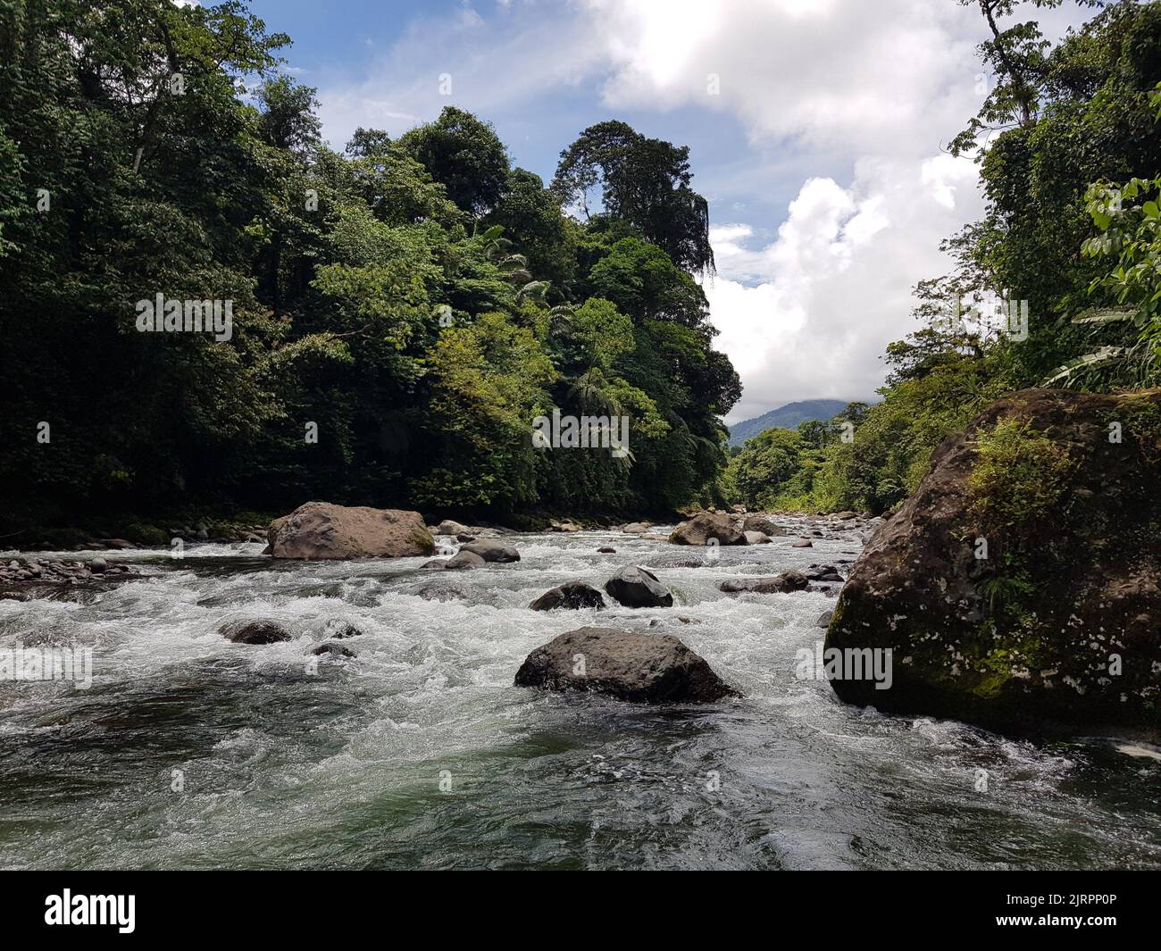 River in a rainforest in Costa Rica Stock Photo - Alamy