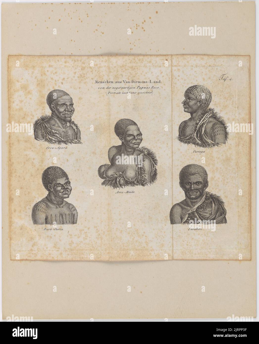 People of Van Diemens Land, negroes of Papua Race (Menschen aus Van ...