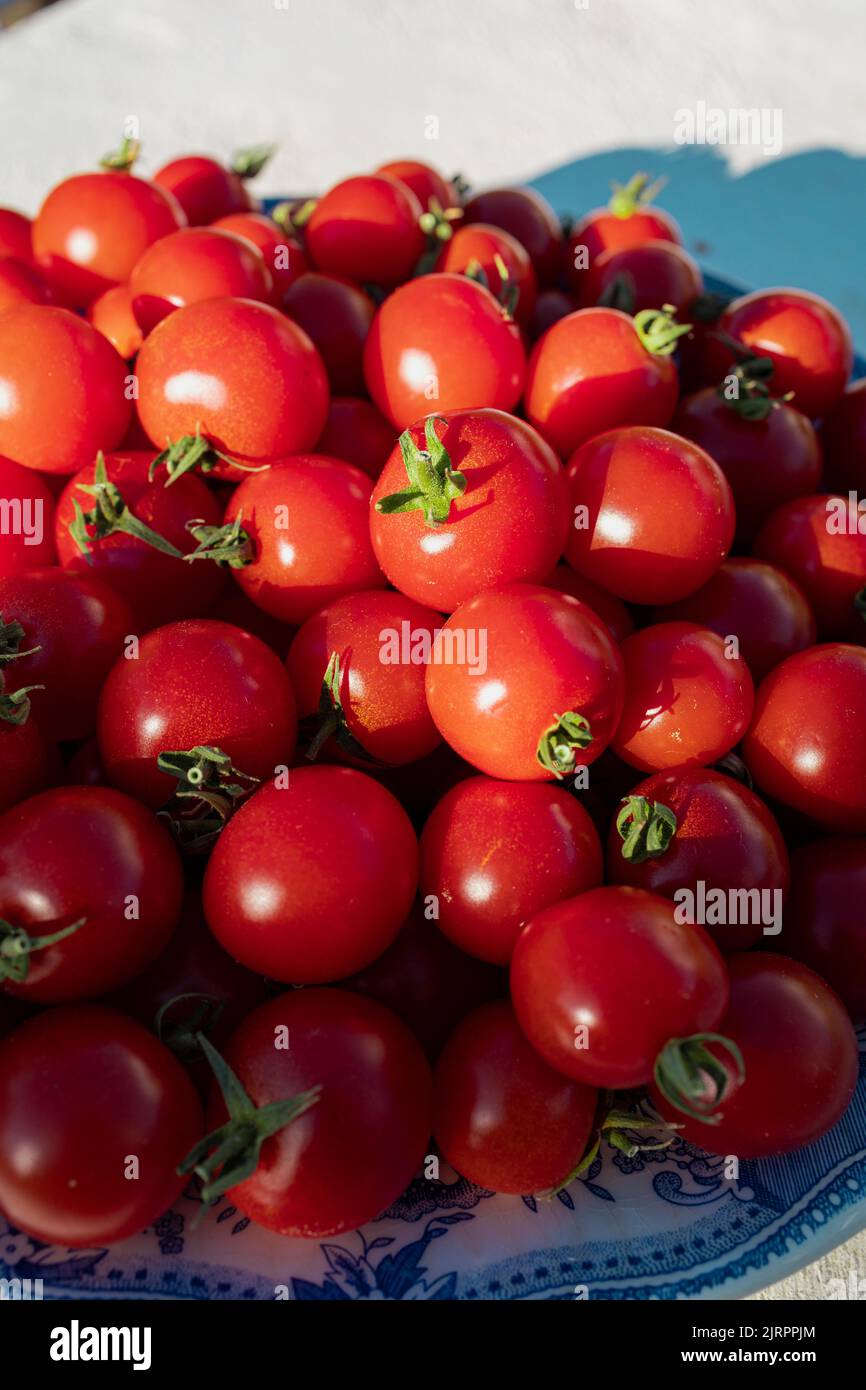 Ripe cherry tomatoes in sunlight Stock Photo - Alamy