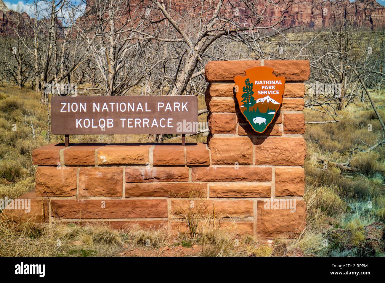 Road going to zion national park hi-res stock photography and images ...