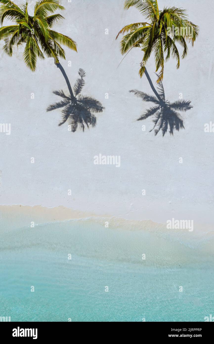 Overhead beach palm trees hi-res stock photography and images - Alamy
