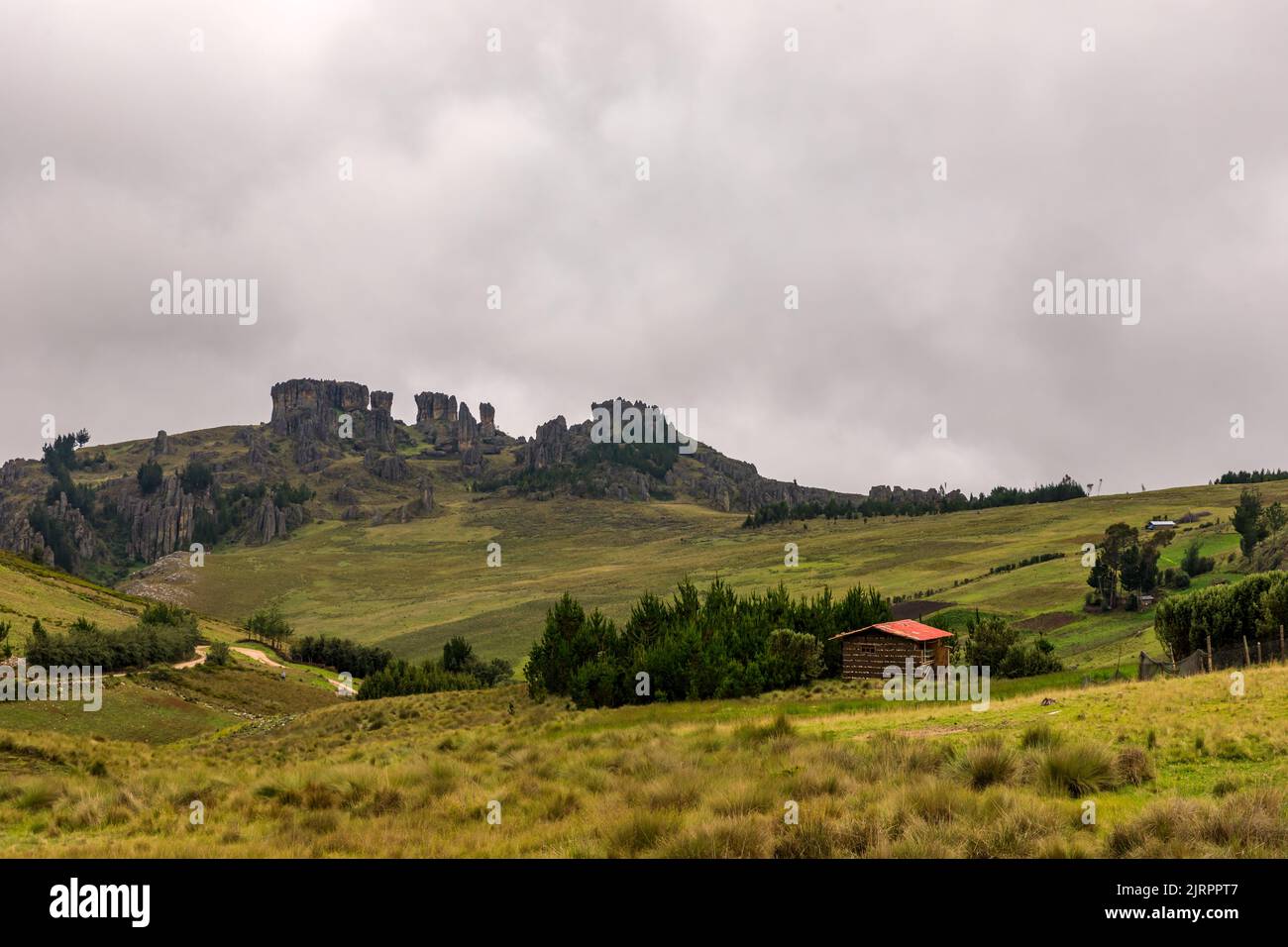 A scenic shot of the Stone Forest Cumbemayo with an overcast sky in ...