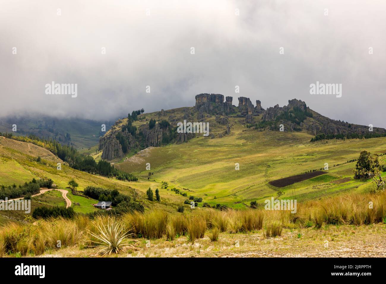 A scenic shot of the Stone Forest Cumbemayo with an overcast sky in ...