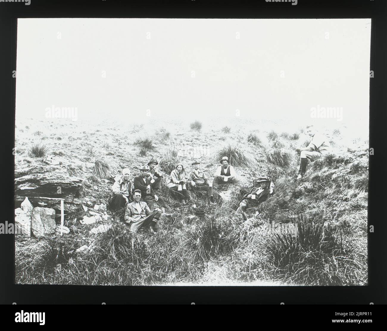 EM Heine and Party - Garvie Mountains, tussock - herb field, 22 ...