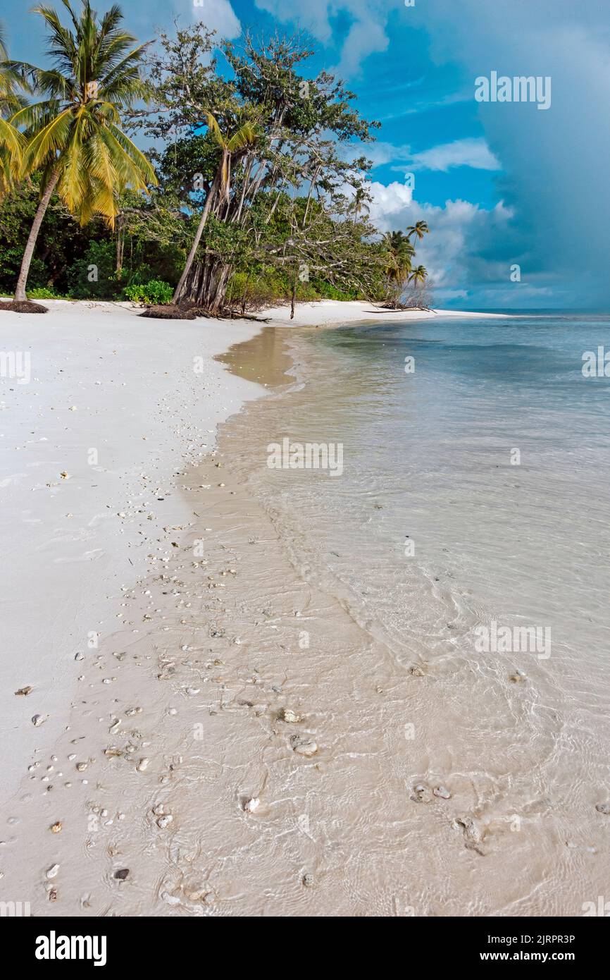 Tropical landscape, Thaa Atoll, Maldives Stock Photo - Alamy