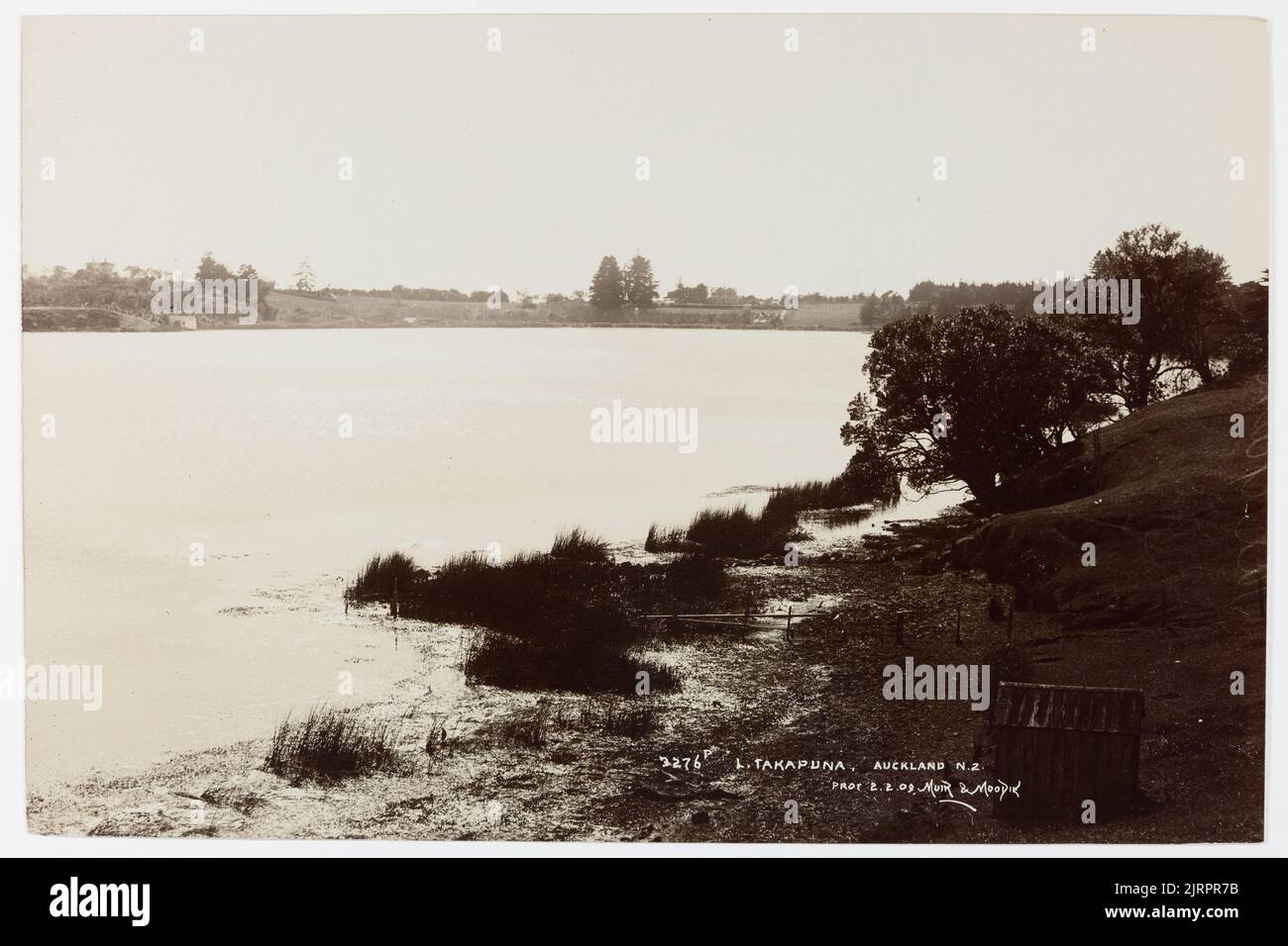 Lake Takapuna, Auckland, circa 1909, Takapuna, by Muir & Moodie Stock ...