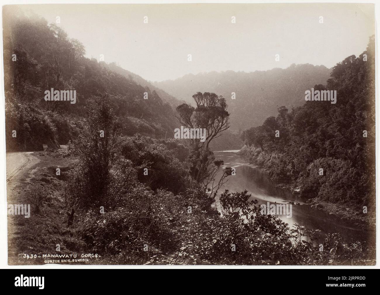 New zealand manawatu gorge hi-res stock photography and images - Alamy