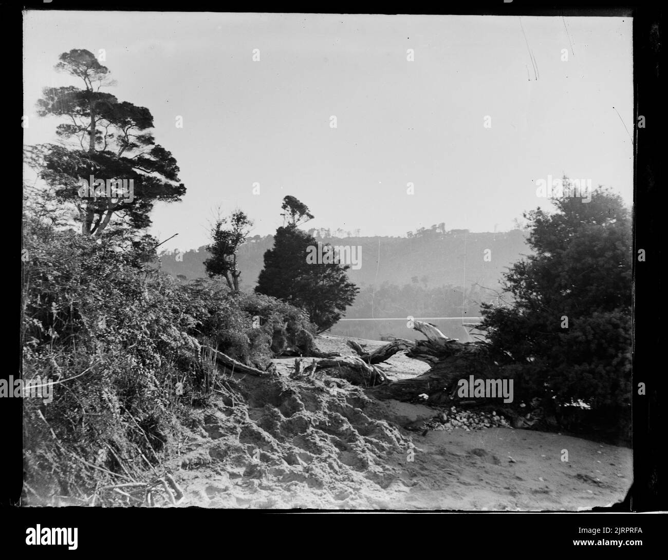 Pounawea, circa 1900-1916, by George Crombie Stock Photo - Alamy